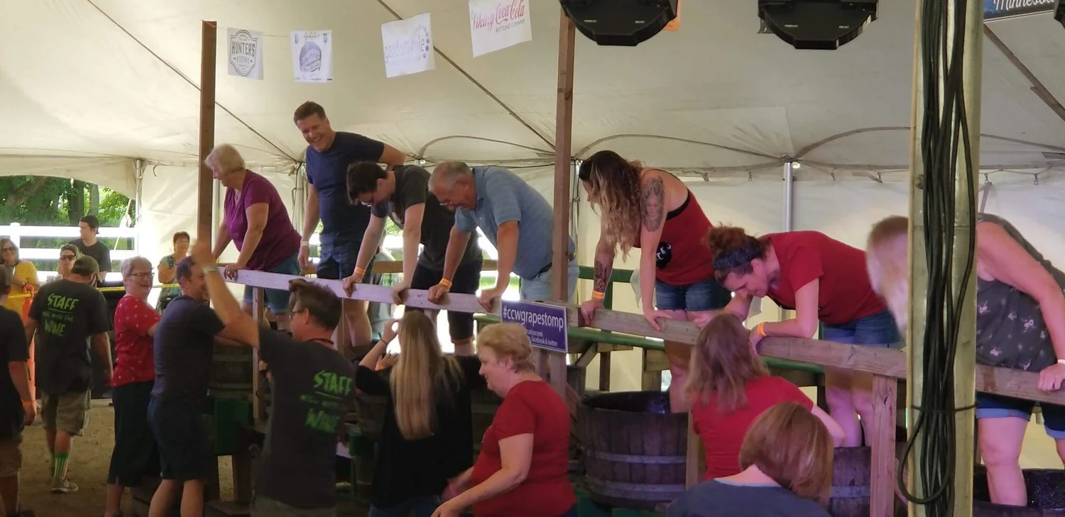 STOMP GRAPES! — Carlos Creek Winery Grape Stomp