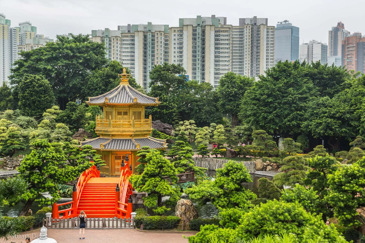 Stuart Dee Photography