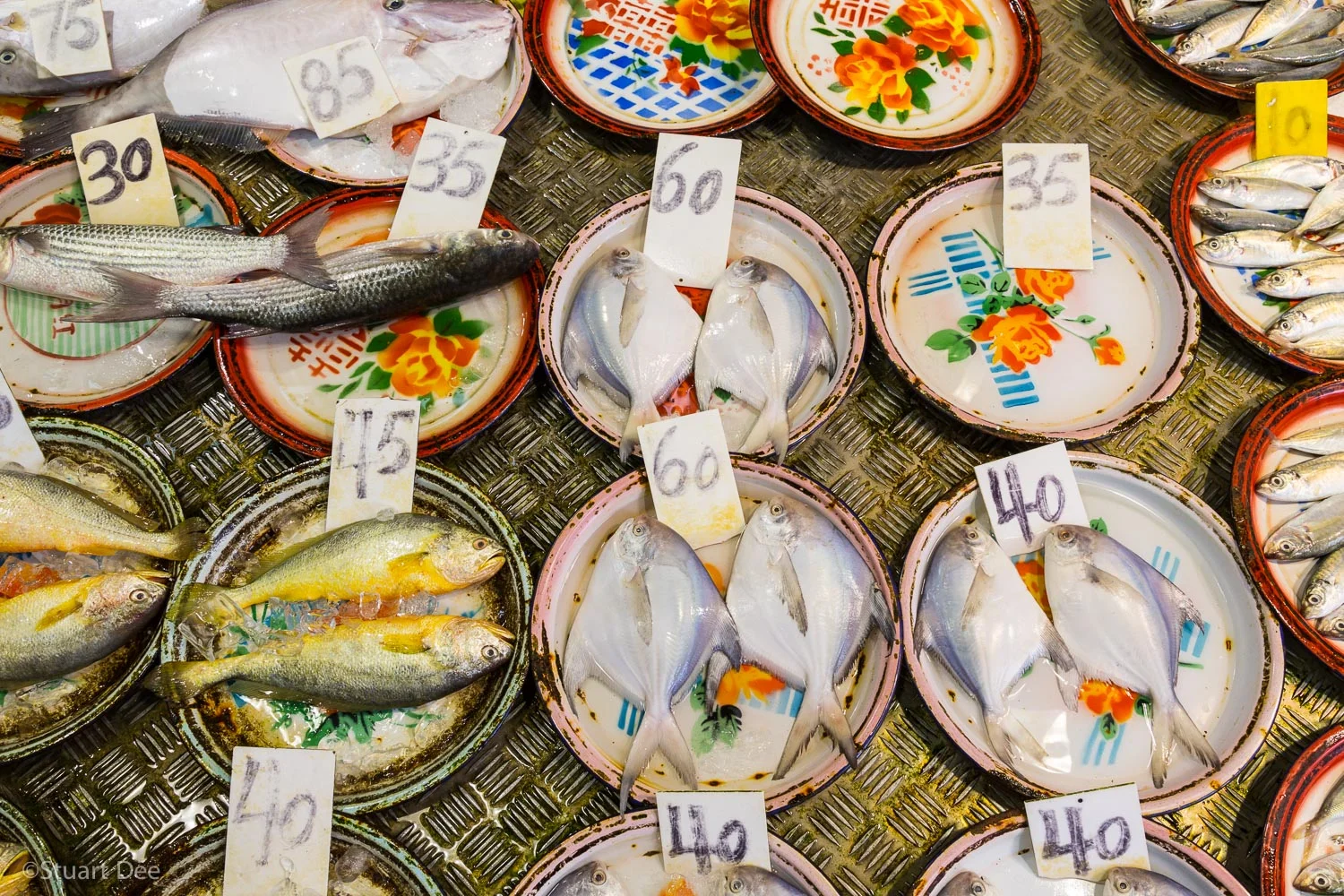 Stuart Dee Photography