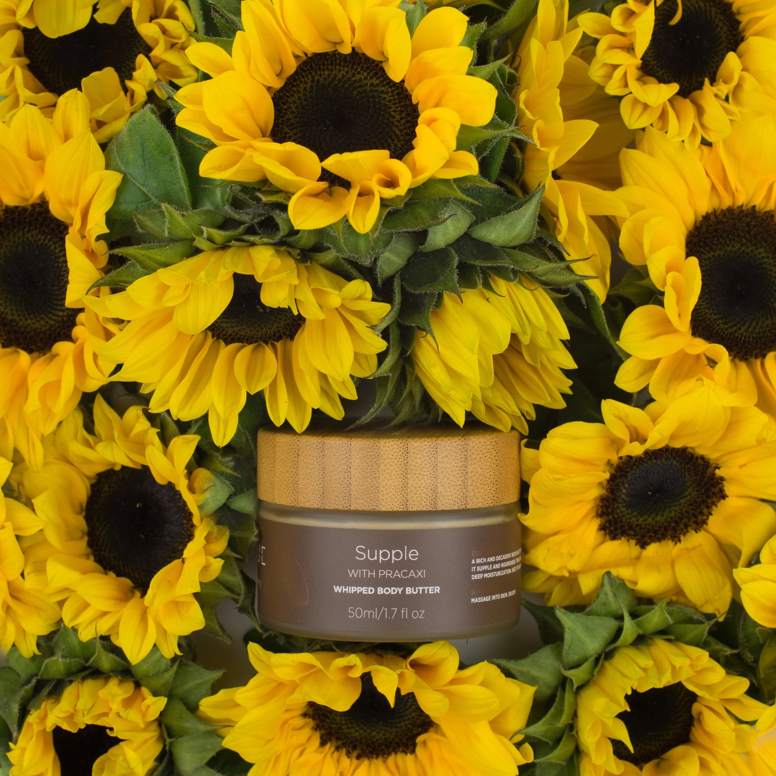 PACKAGING DESIGN — SHEILA MILANI DESIGNS