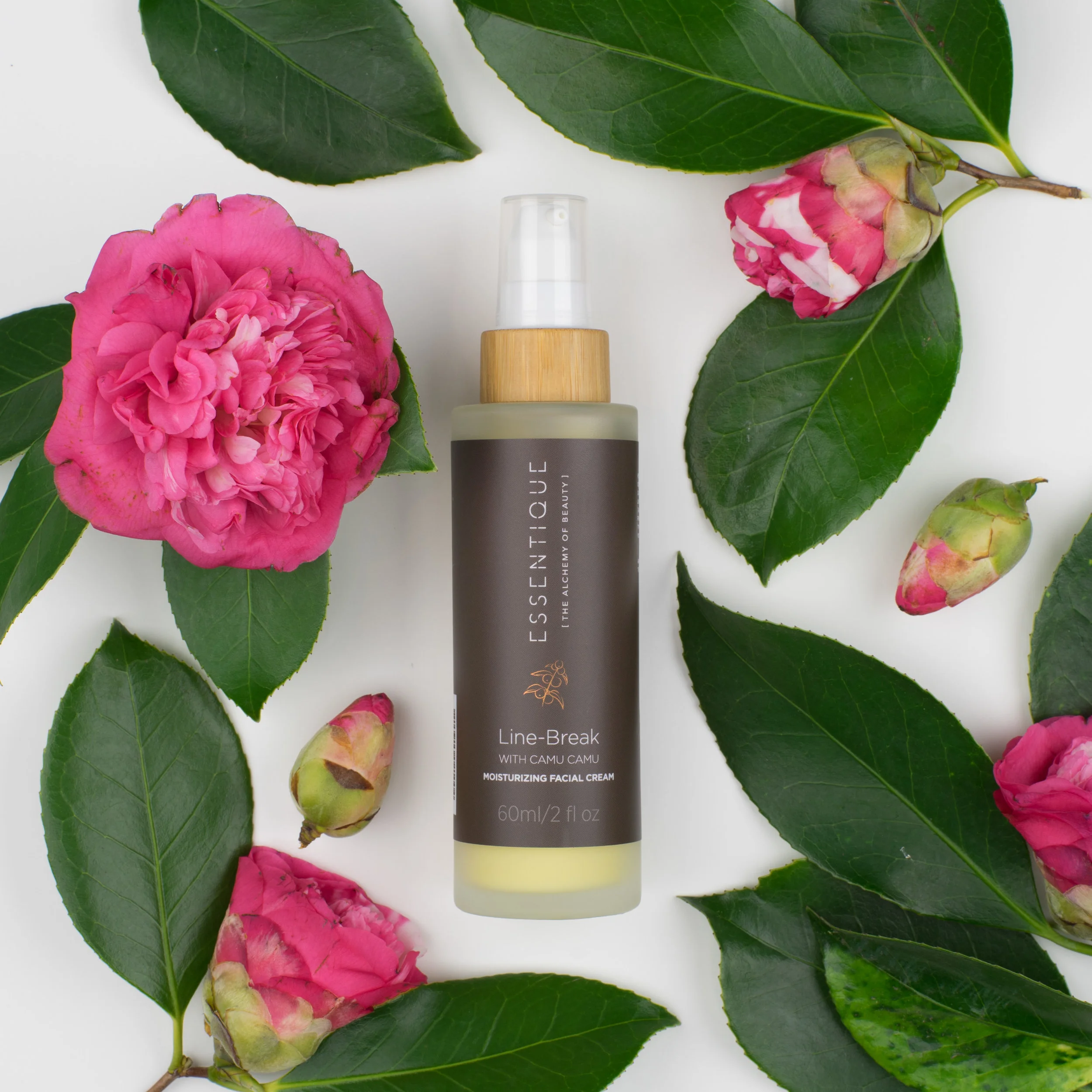 PACKAGING DESIGN — SHEILA MILANI DESIGNS