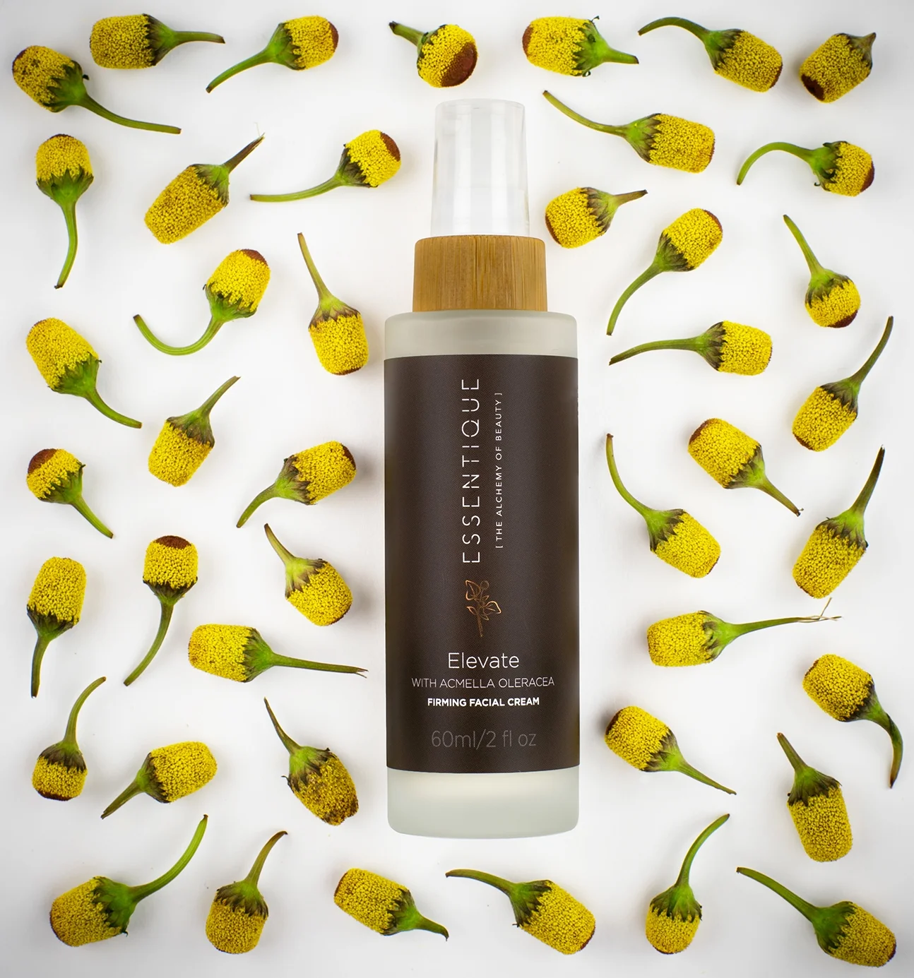 PACKAGING DESIGN — SHEILA MILANI DESIGNS