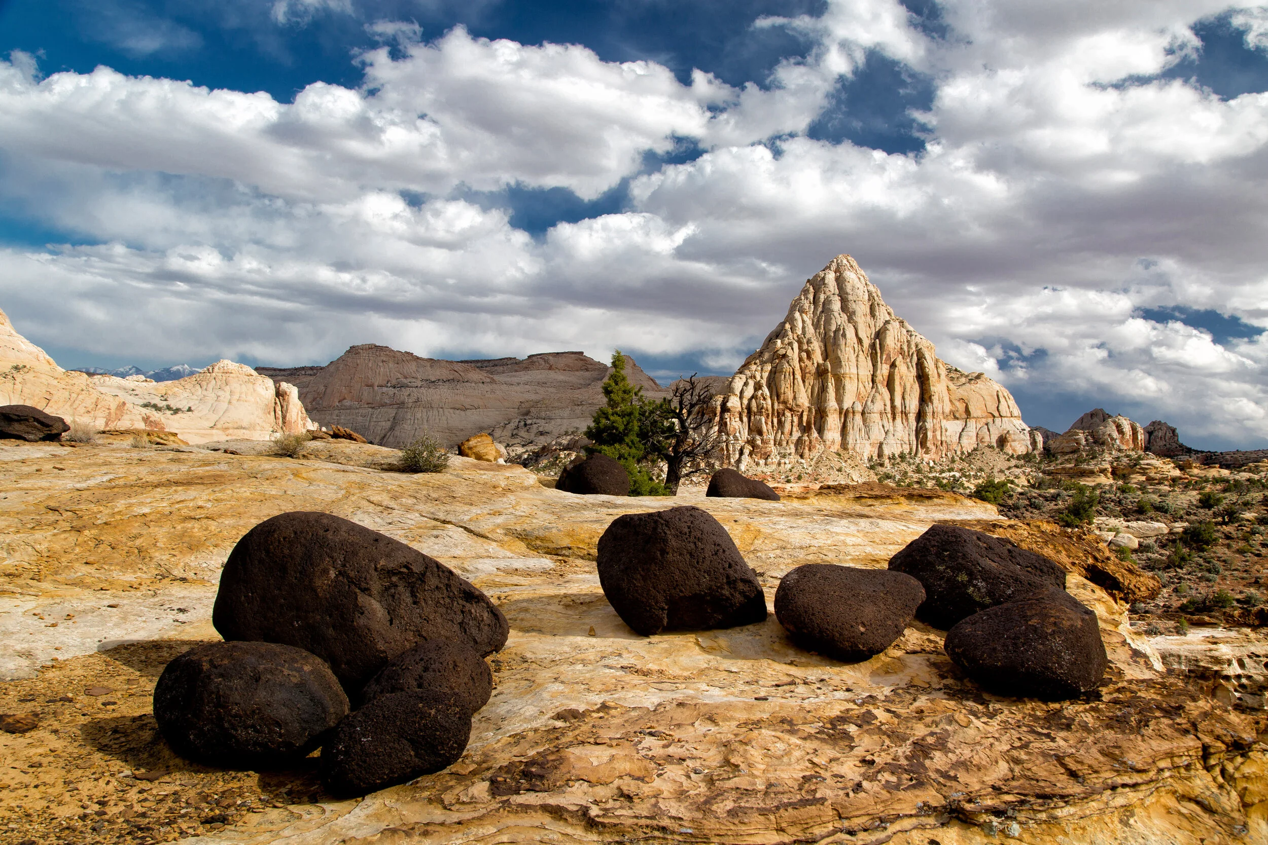 Scorched — Stephen Matera Photographer