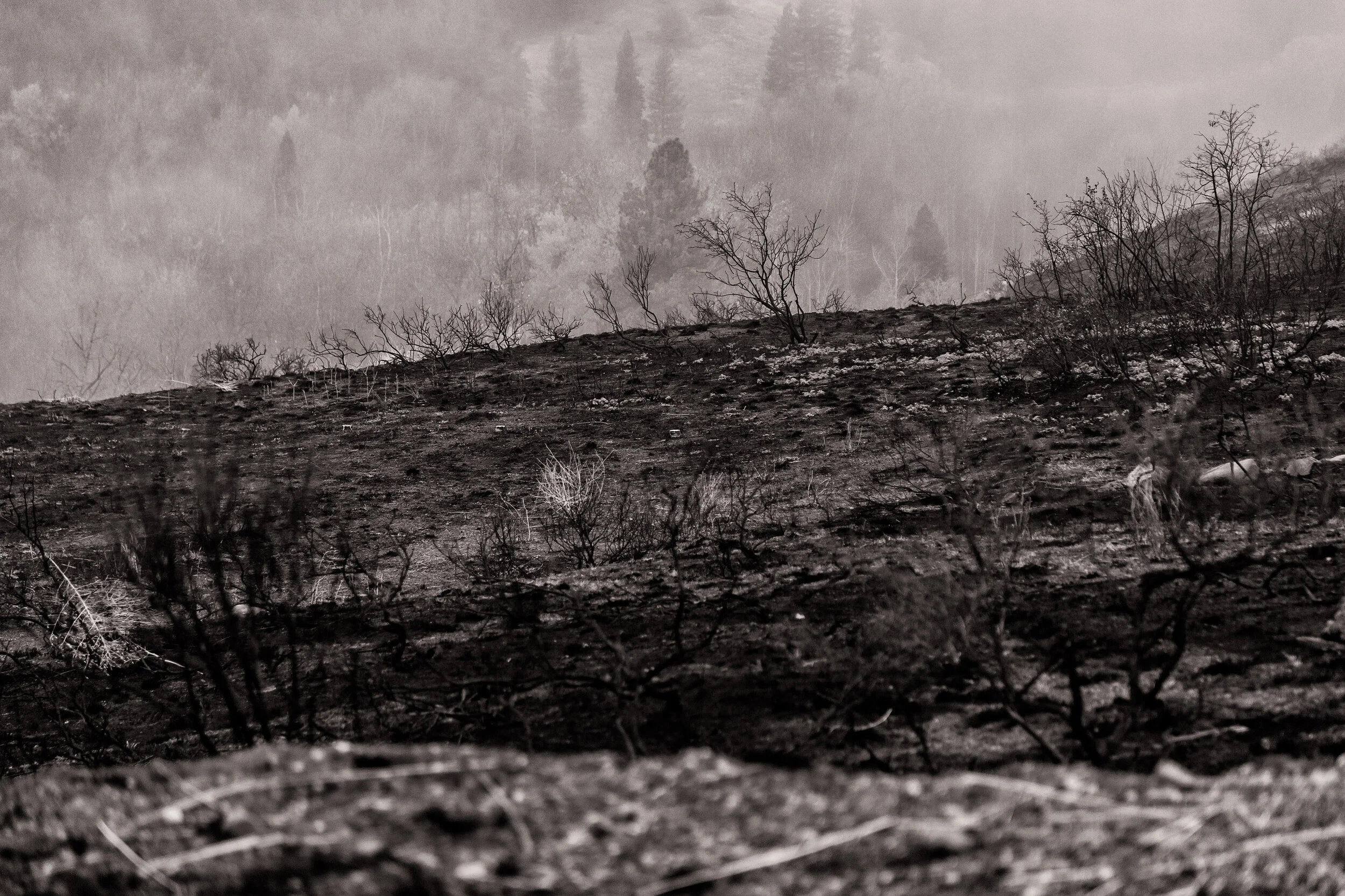 A gallery of images from the recovery from the Methow Valley from ...