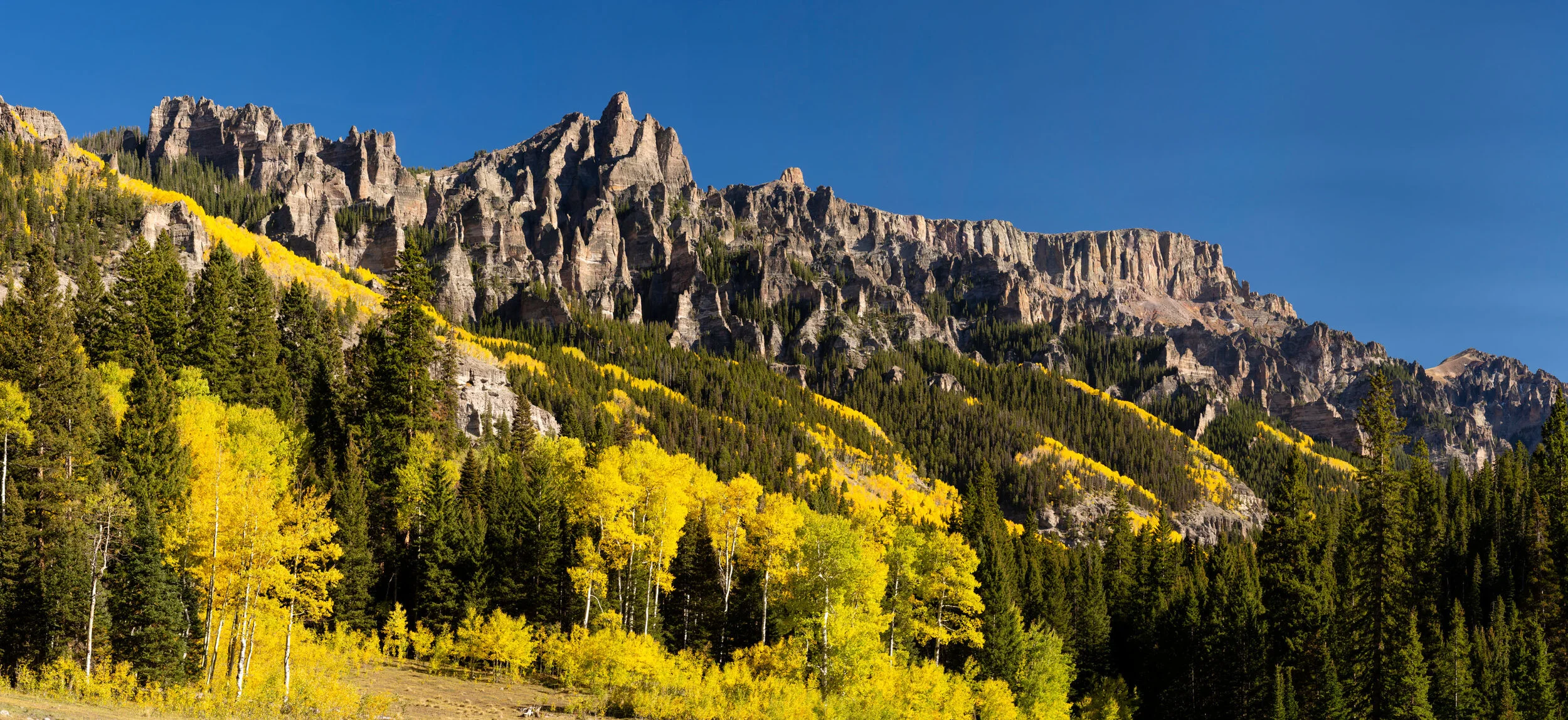 Colorado Mountain Landscape