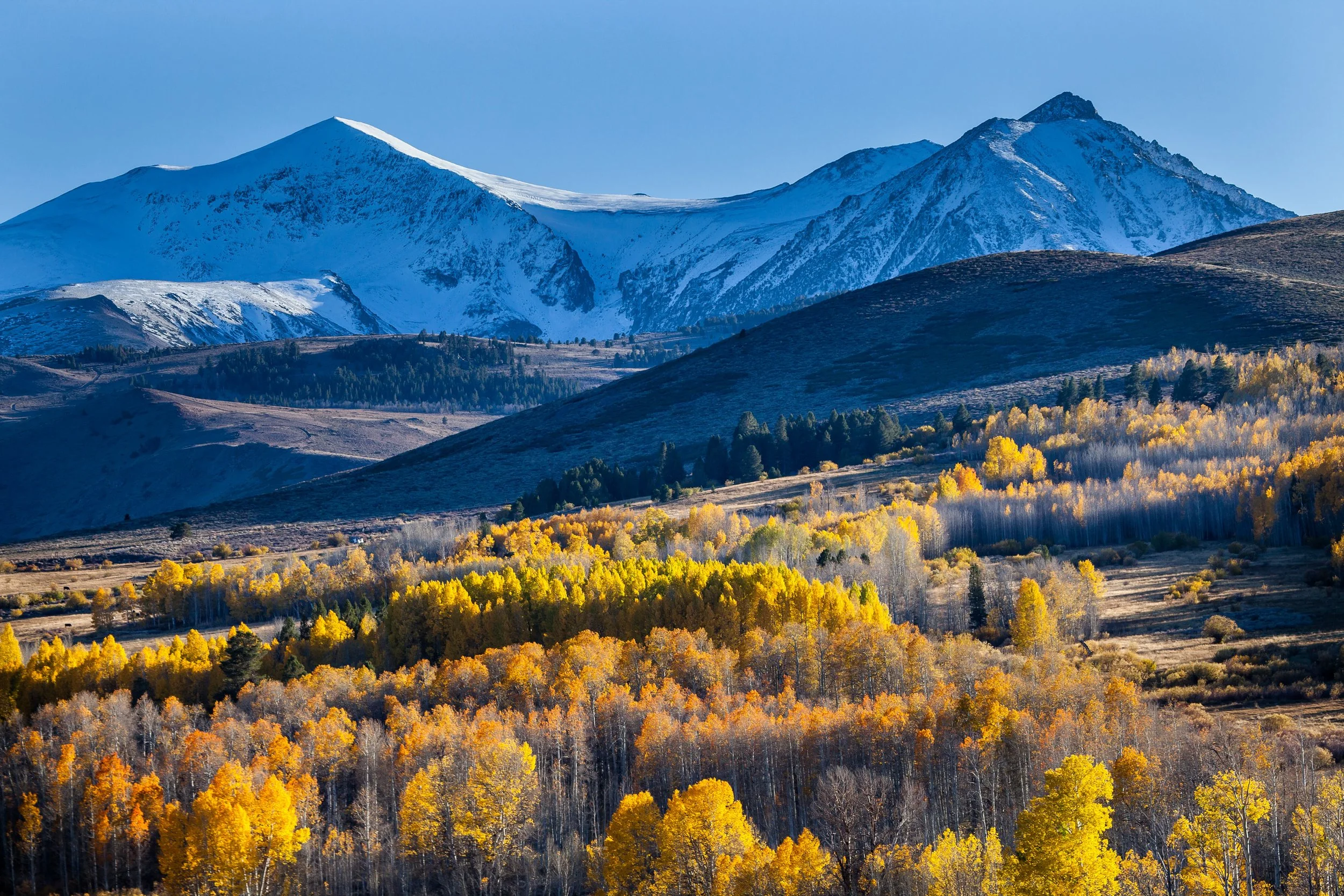 Mountain Prints — Stephen Matera Photographer
