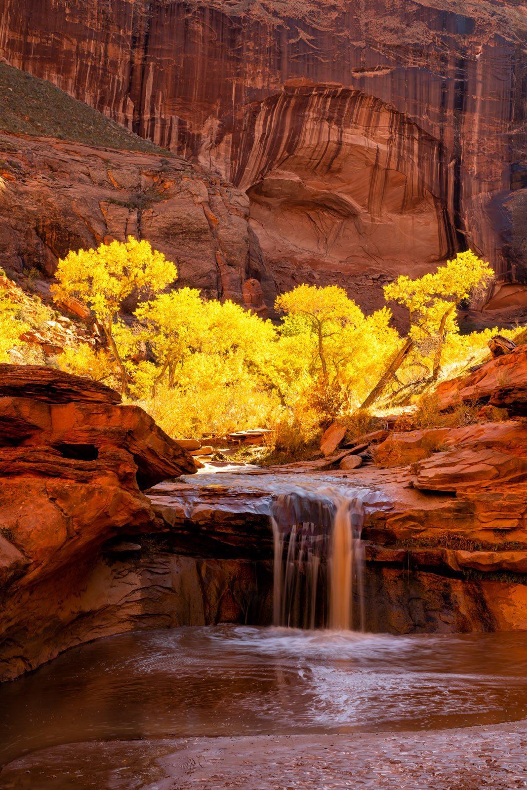 Desert Prints — Stephen Matera Photographer