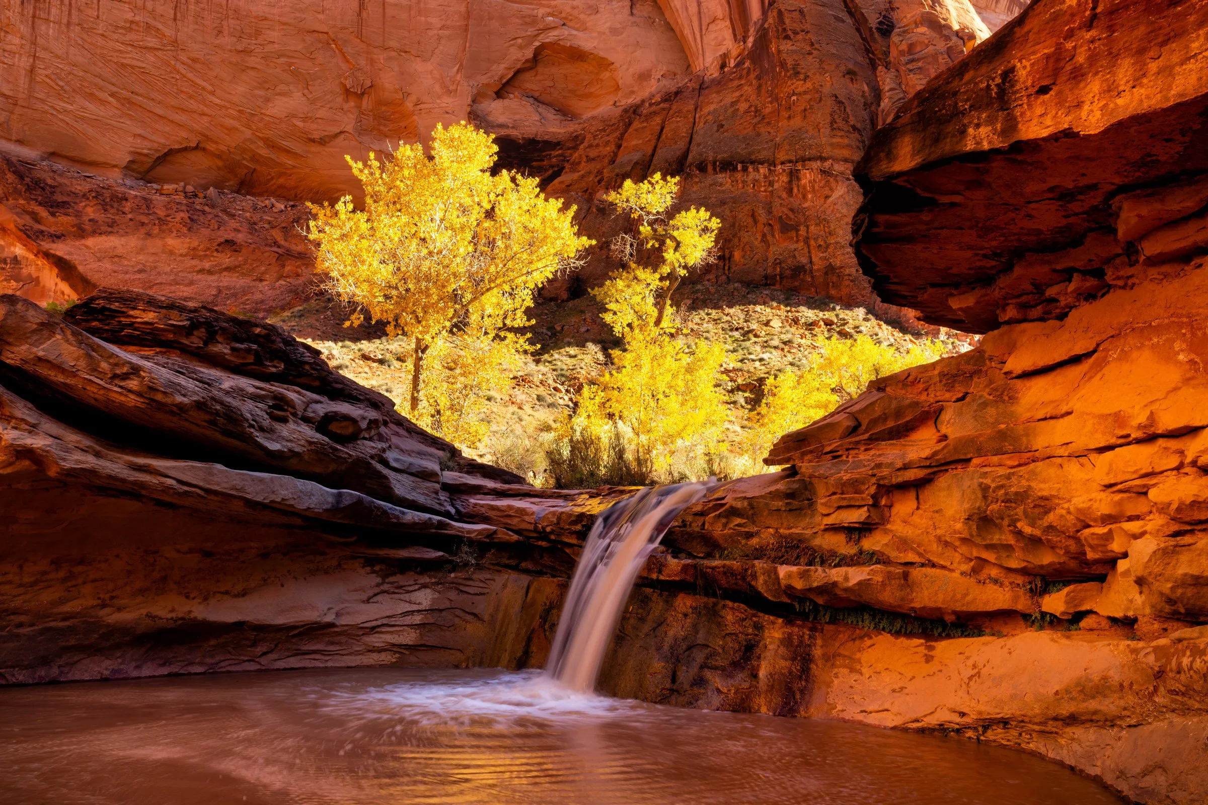 Desert Prints — Stephen Matera Photographer