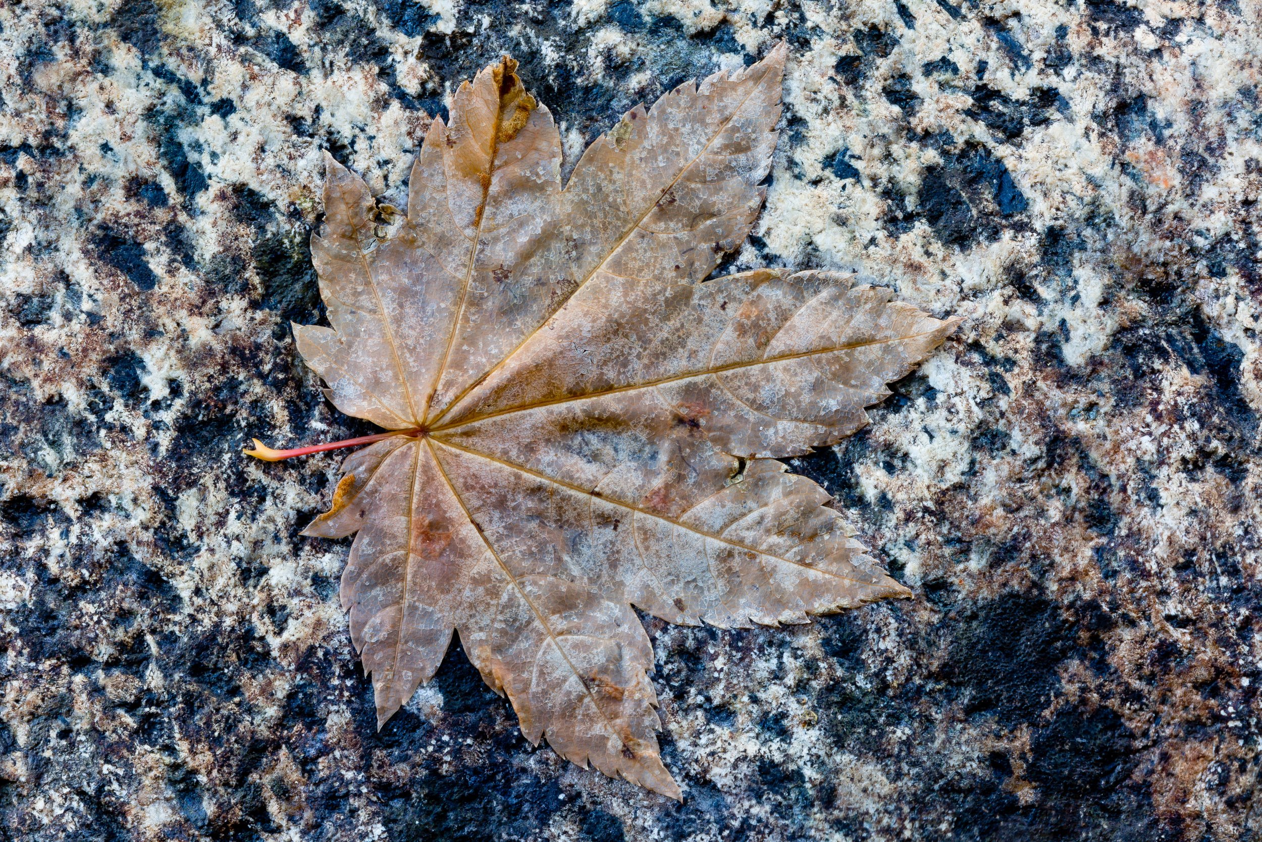 Rhythms in the Landscape — Stephen Matera Photographer
