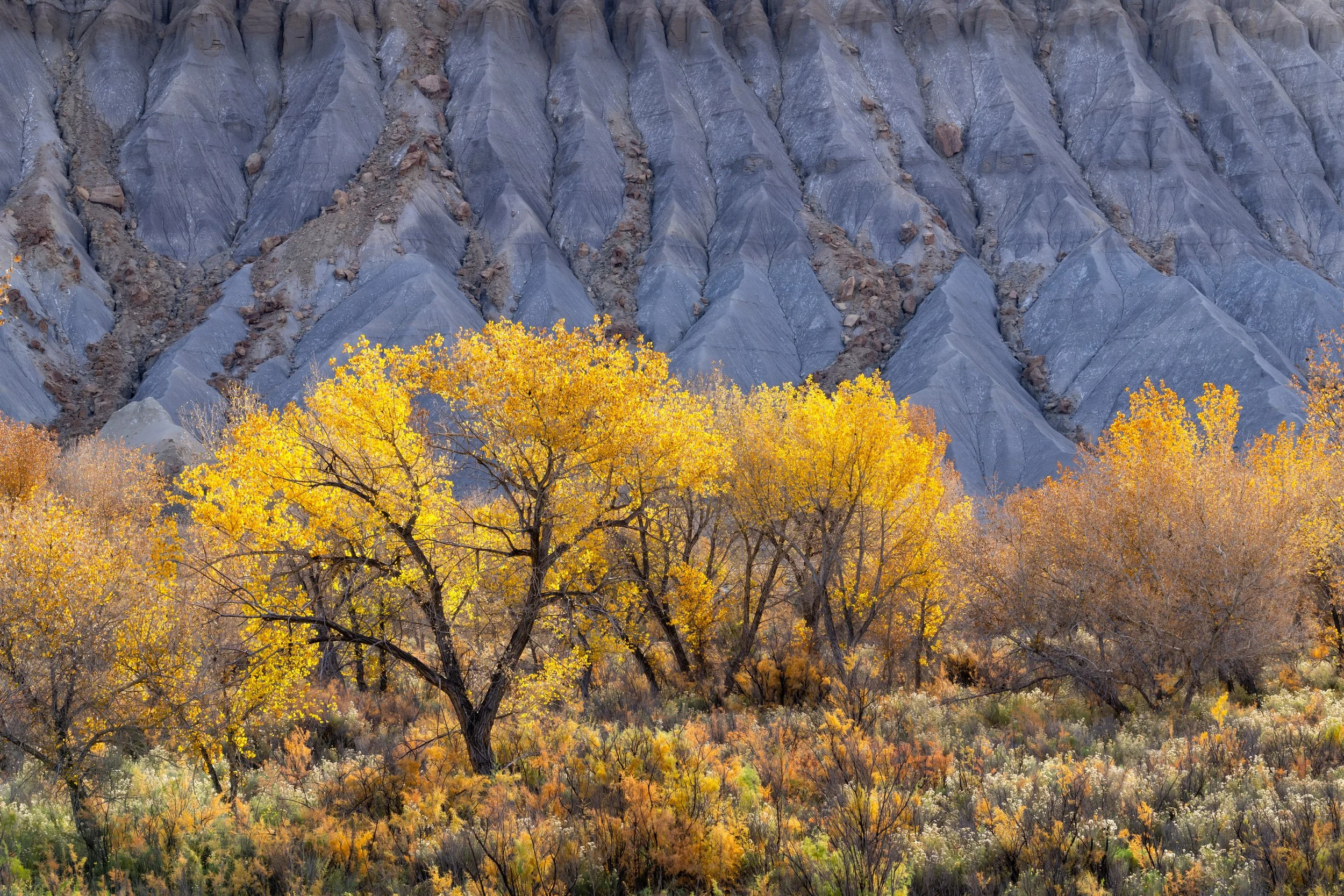 Rhythms in the Landscape — Stephen Matera Photographer