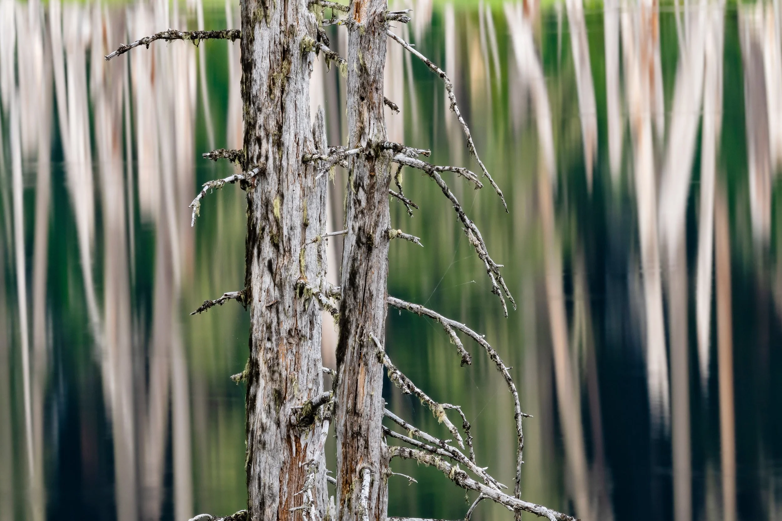 Rhythms in the Landscape — Stephen Matera Photographer