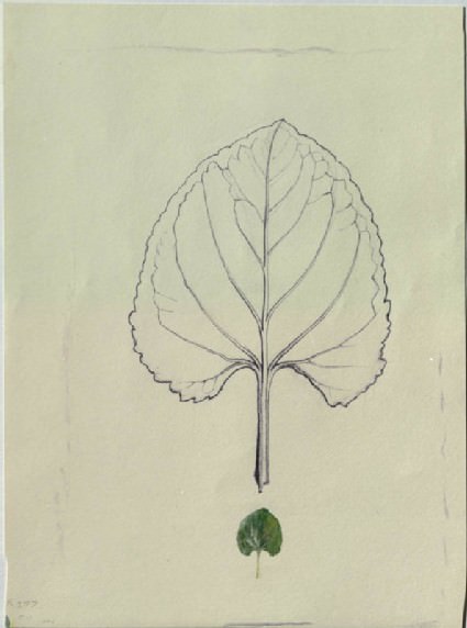 If You Can Paint One Leaf, You Can Paint the World — Paper Blogging