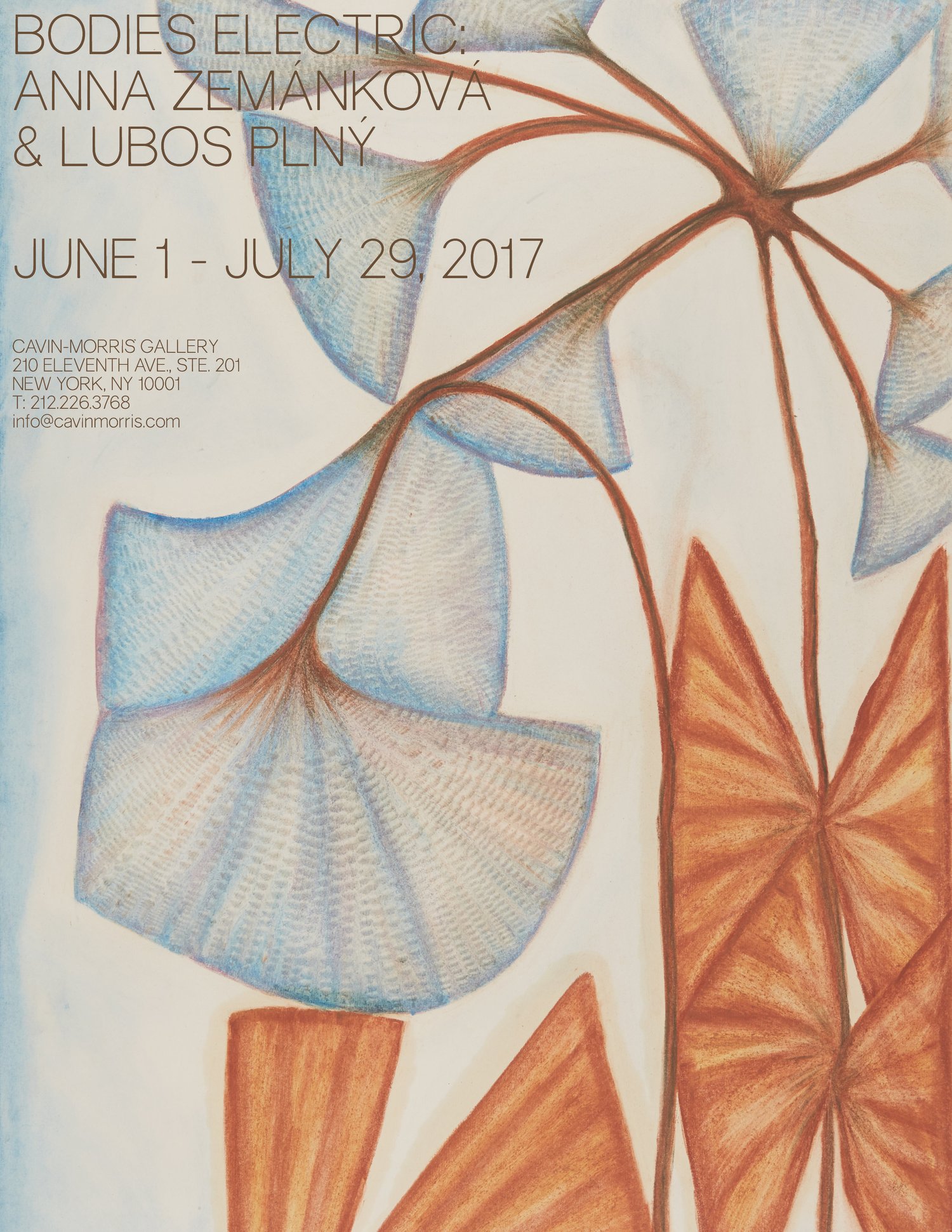 Bodies Electric: Luboš Plný & Anna Zemánková — CAVIN-MORRIS GALLERY