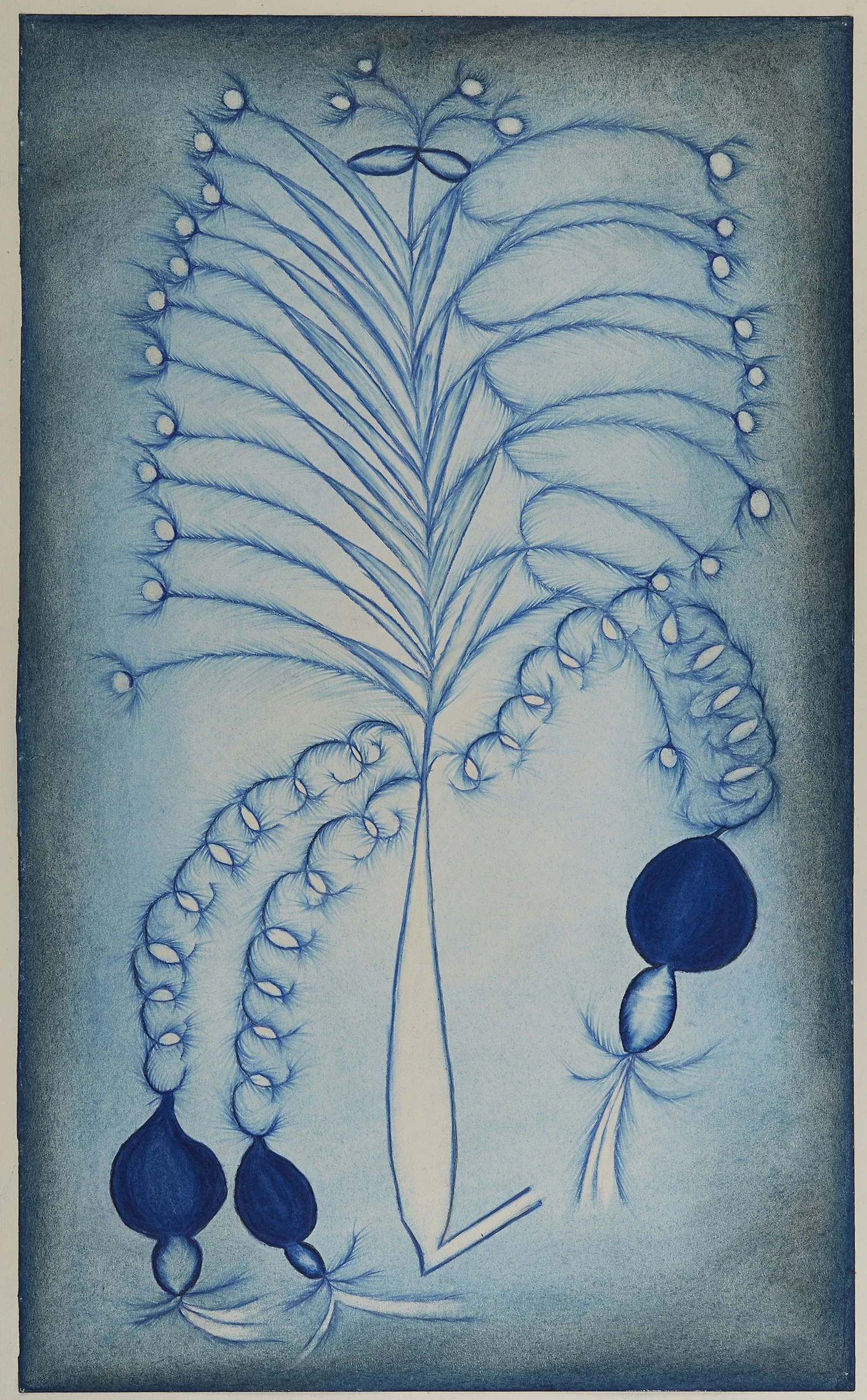 ANNA ZEMÁNKOVÁ — CAVIN-MORRIS GALLERY