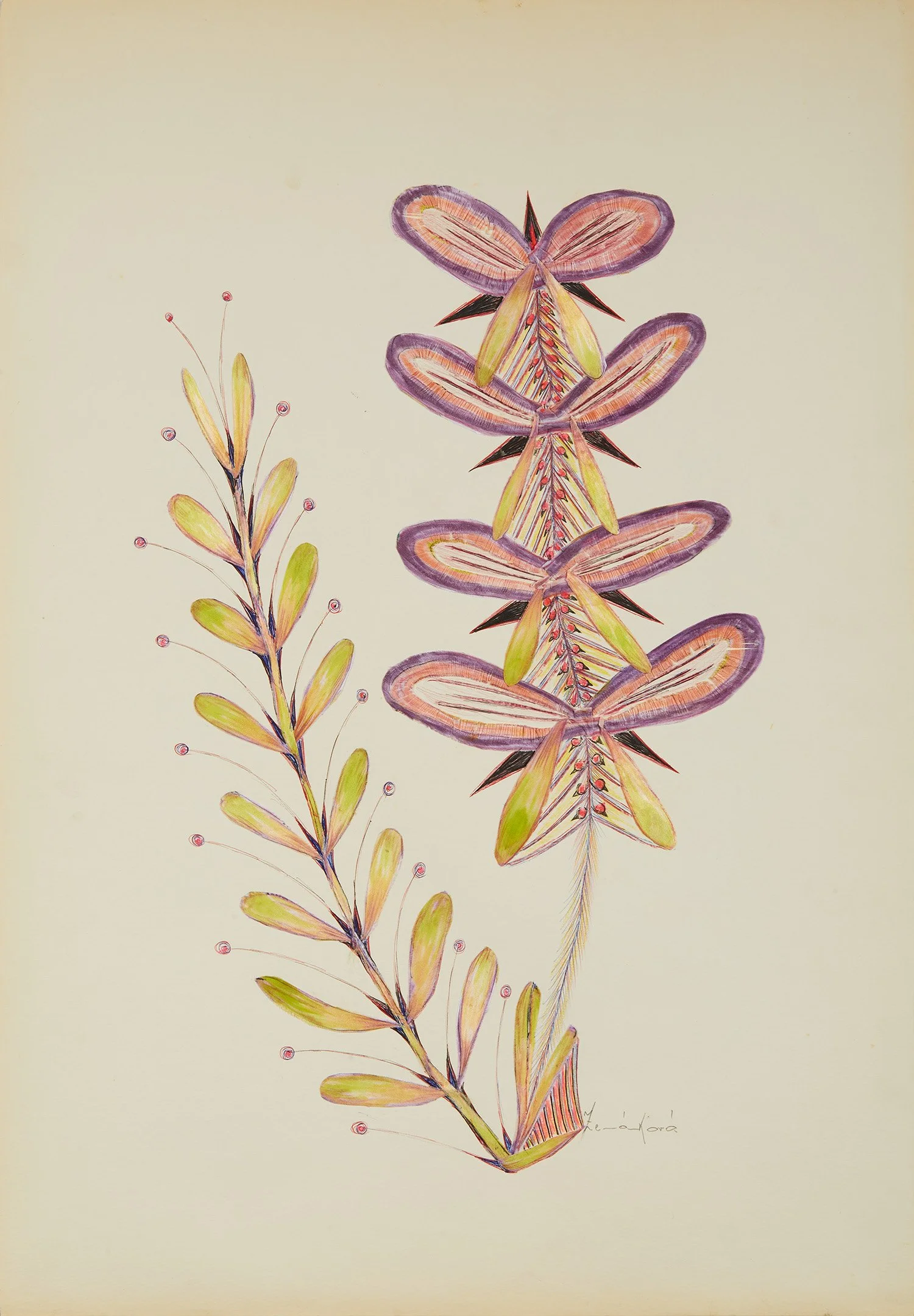 ANNA ZEMÁNKOVÁ — CAVIN-MORRIS GALLERY