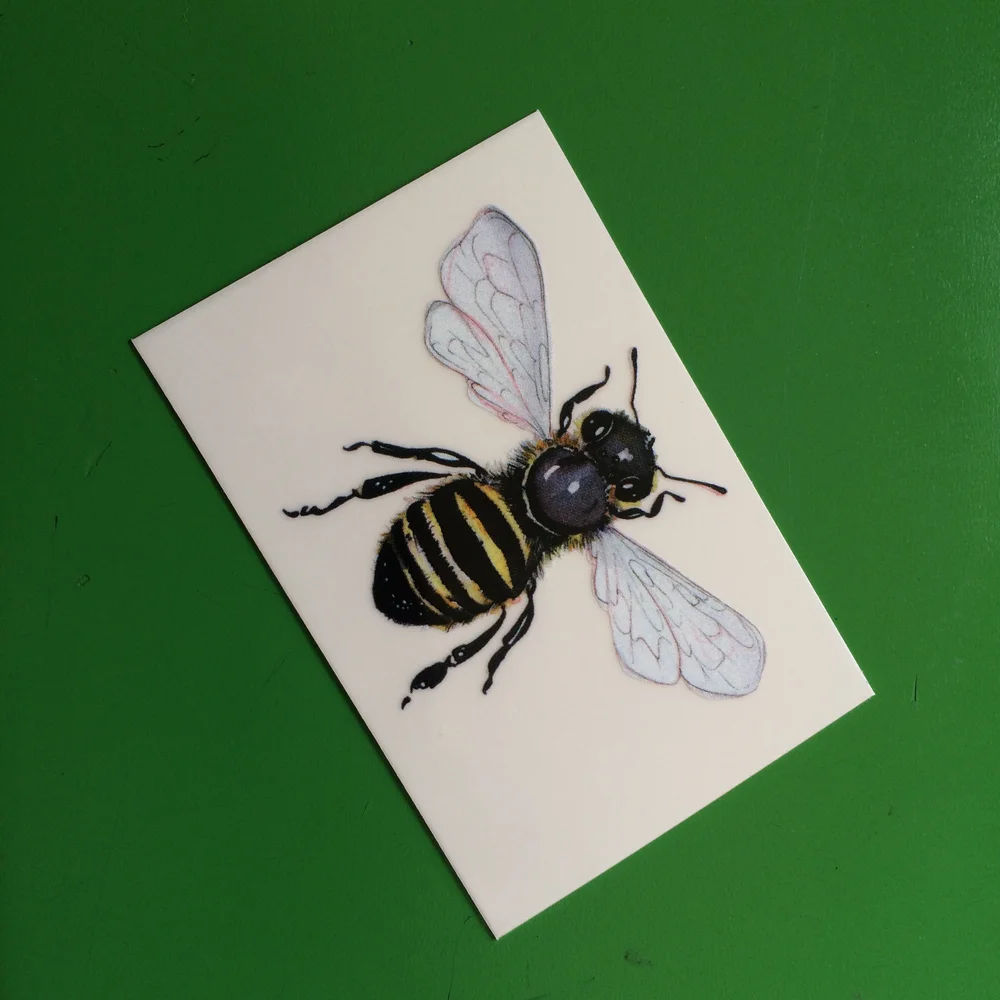 Queen Bee Art