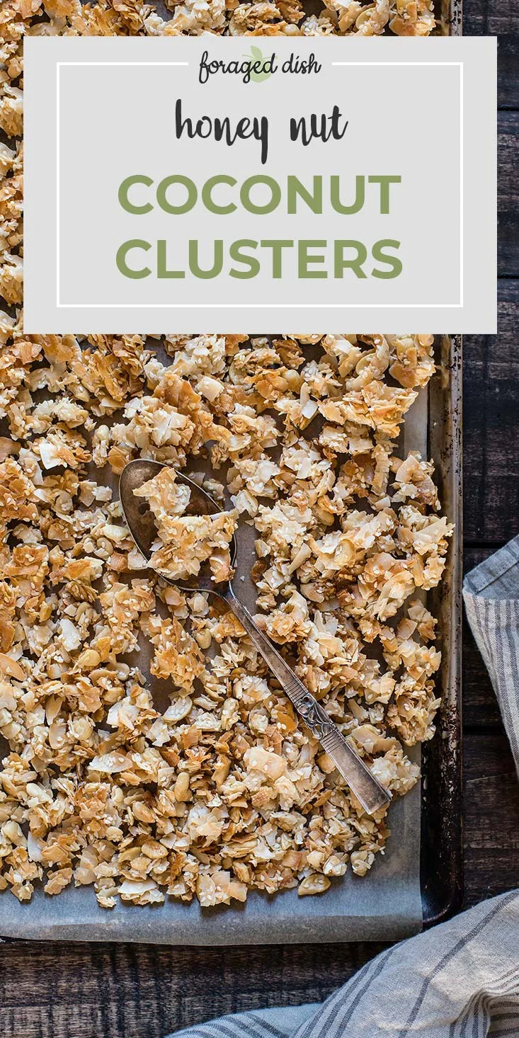 Snacks — Foraged Dish