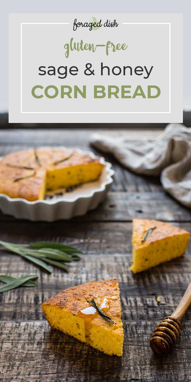 Snacks — Foraged Dish