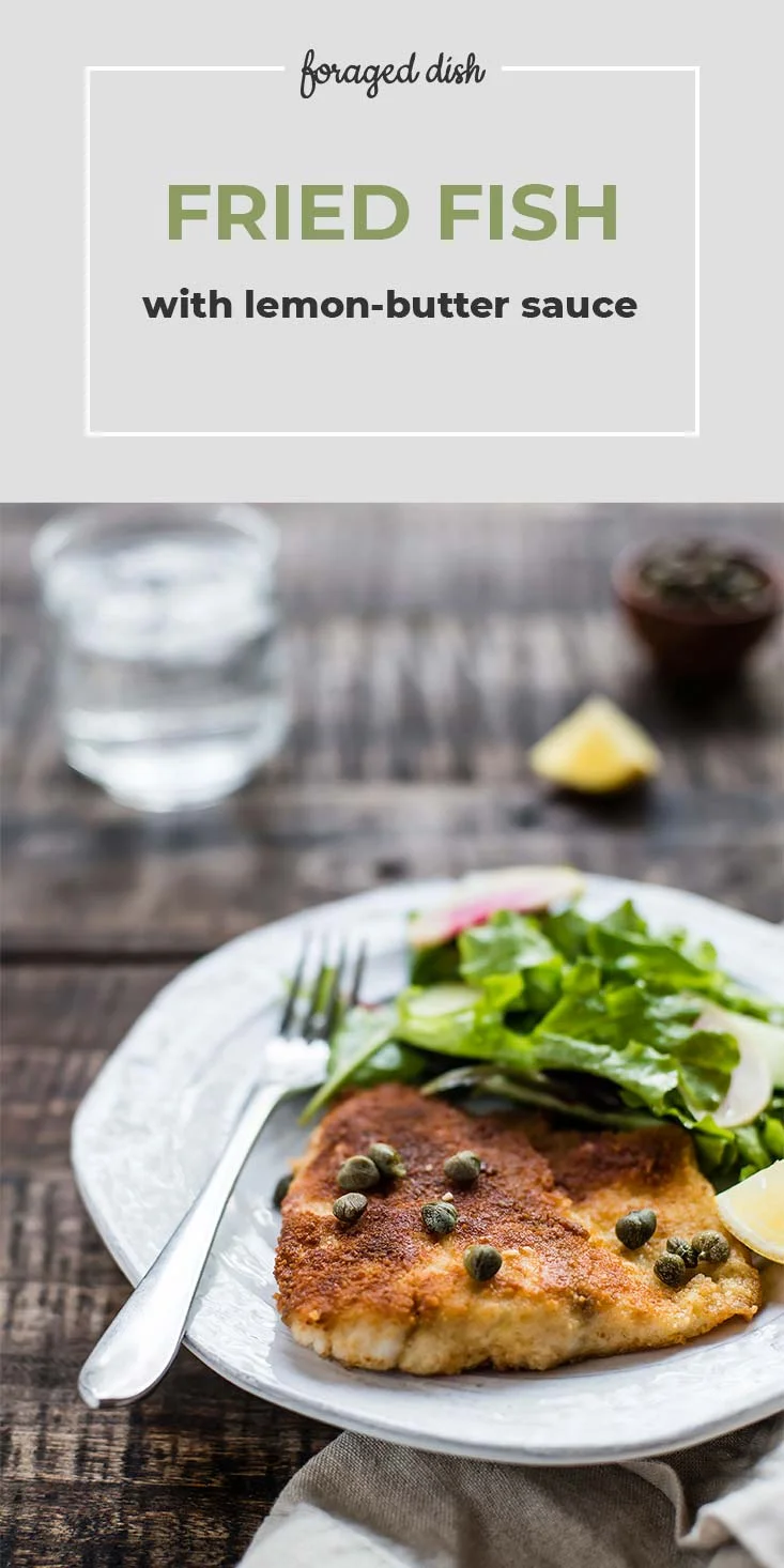 Seafood — Foraged Dish