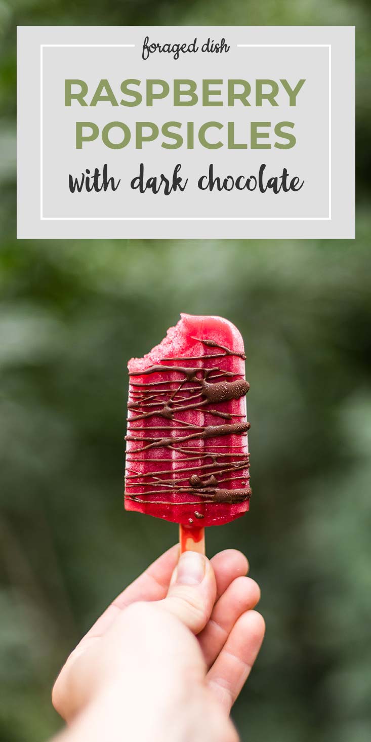 Raspberry Popsicles with Dark Chocolate Drizzle — Foraged Dish
