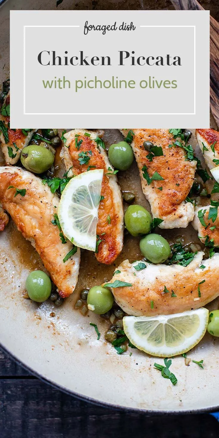 Parma Rosa Chicken — Foraged Dish