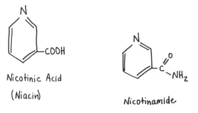 Niacinamide reduces liver damage in alcohol addiction. — ELEMENTS OF ...