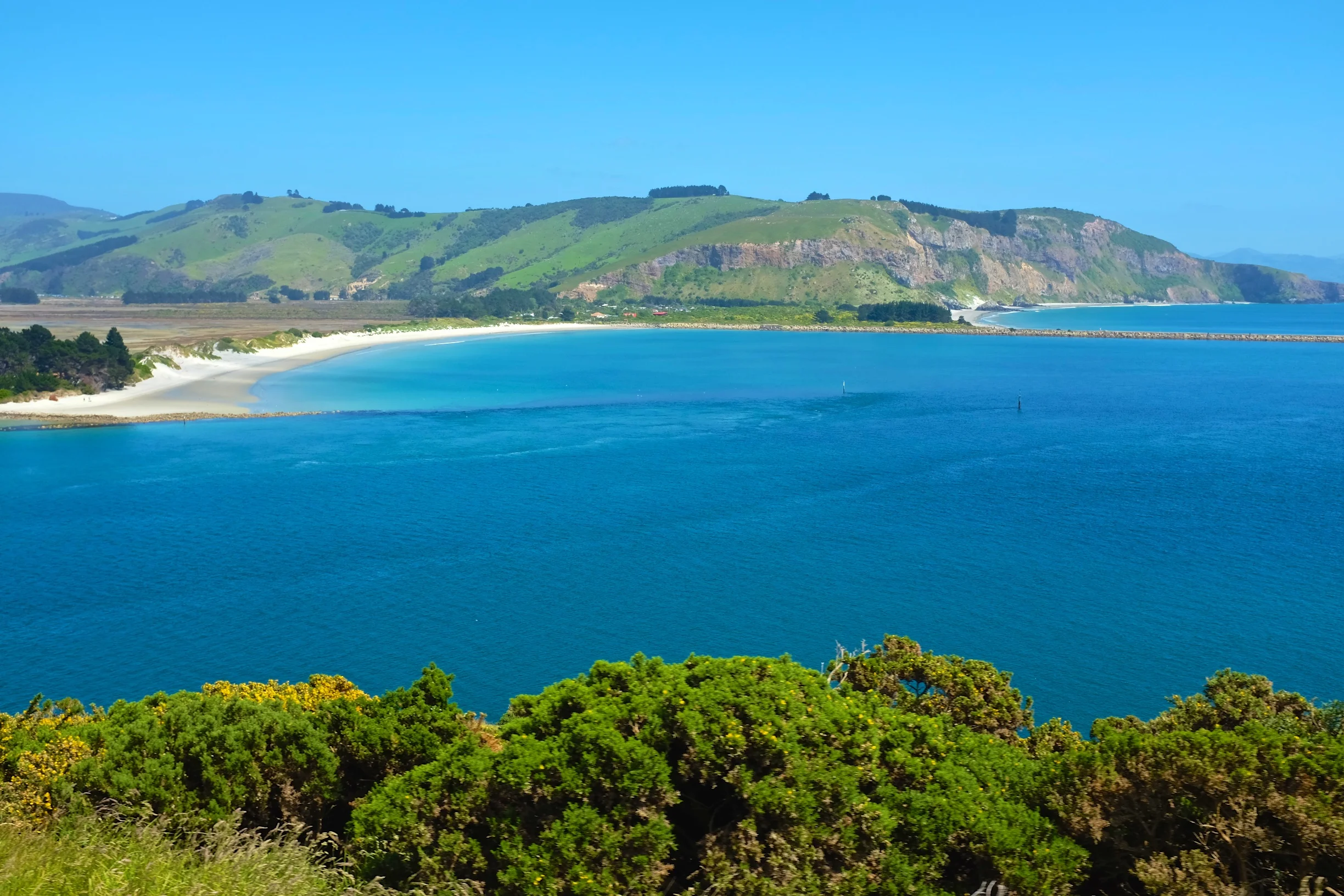 Day 166 - Dunedin, Otago Peninsula, and the Catlins — We Chase Summer