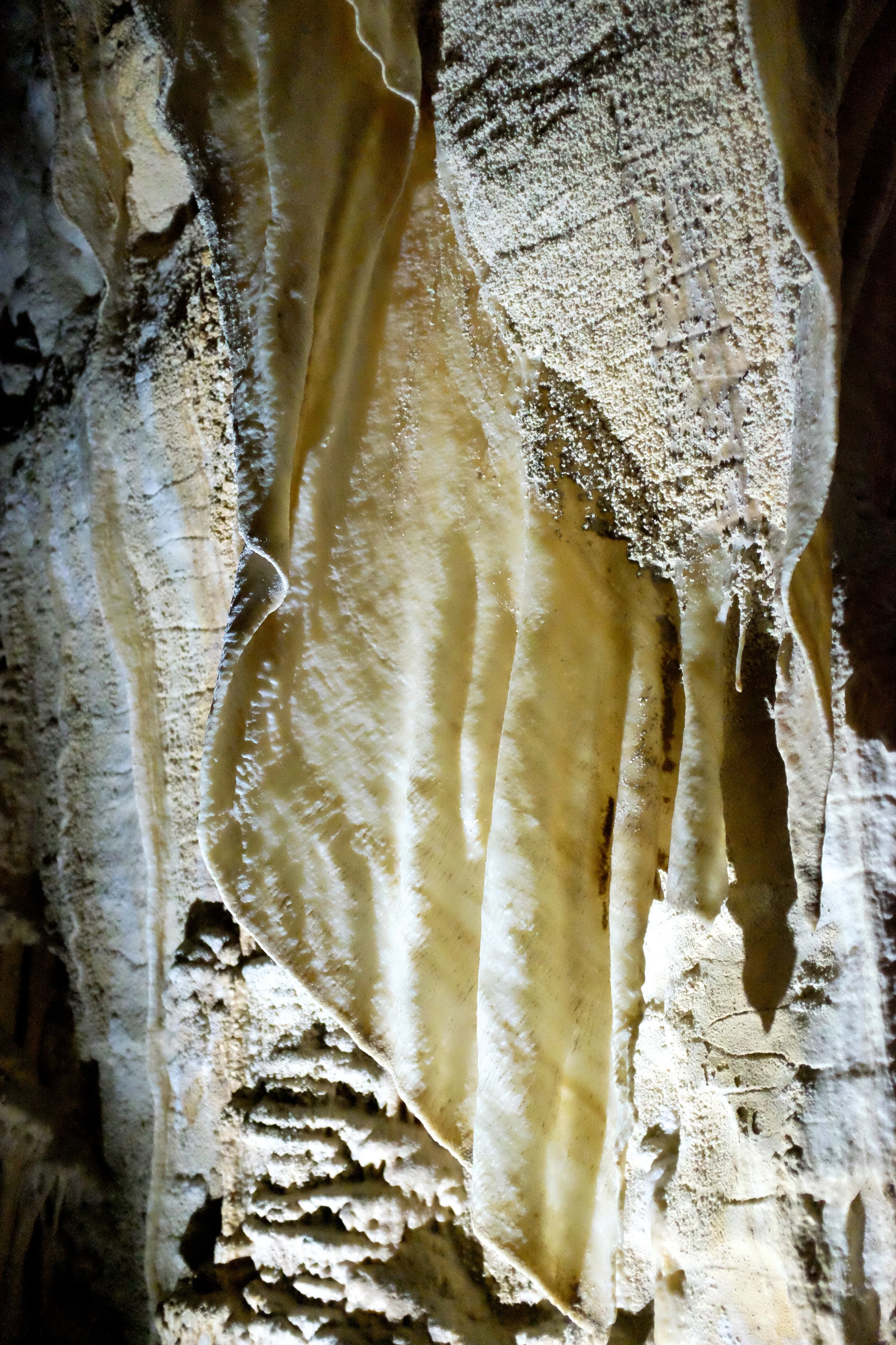 Day 178 - Glowing "Worms" and The Ruakuri Cave — We Chase Summer