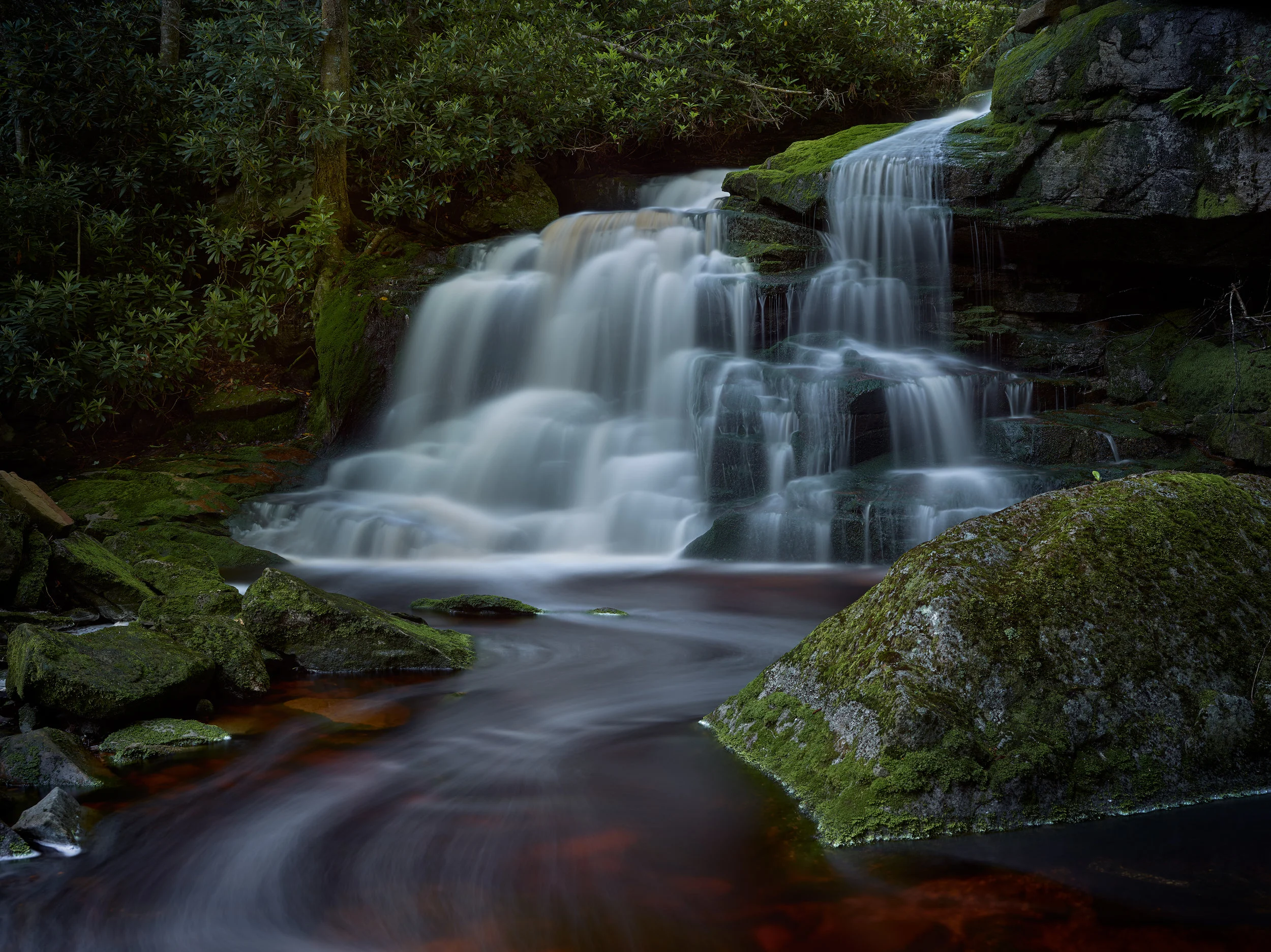 Virginia Landscape Prints