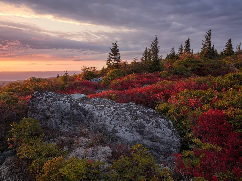 Virginia Landscape Prints