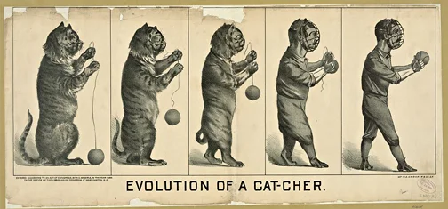 Evolution of A Catcher 1889 Vintage Baseball Framed Wall Art — MUSEUM ...