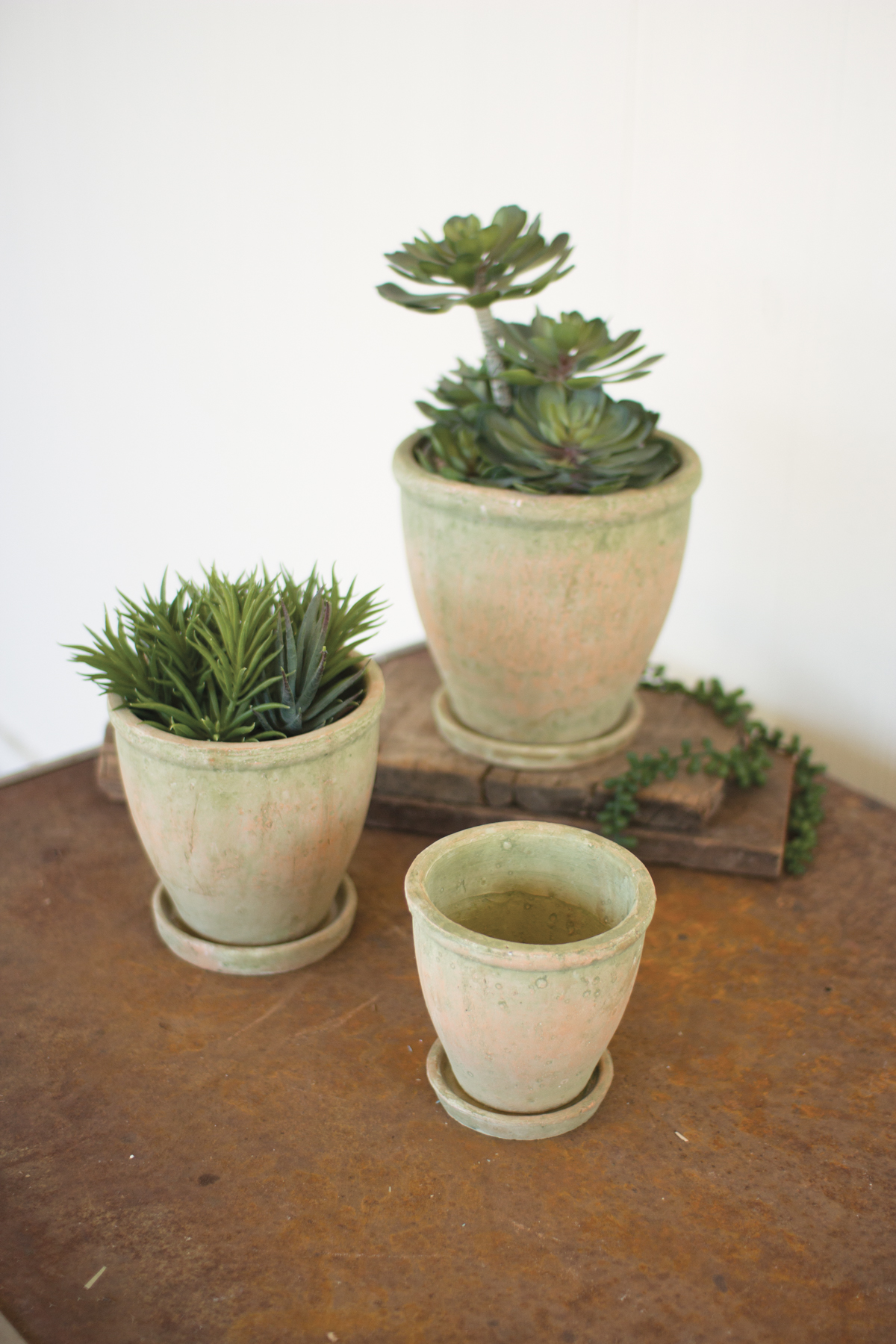 gardening — MUSEUM OUTLETS