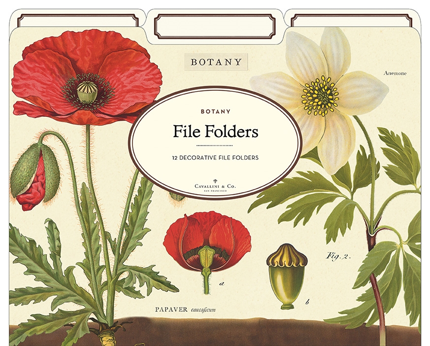 cool office stuff — MUSEUM OUTLETS