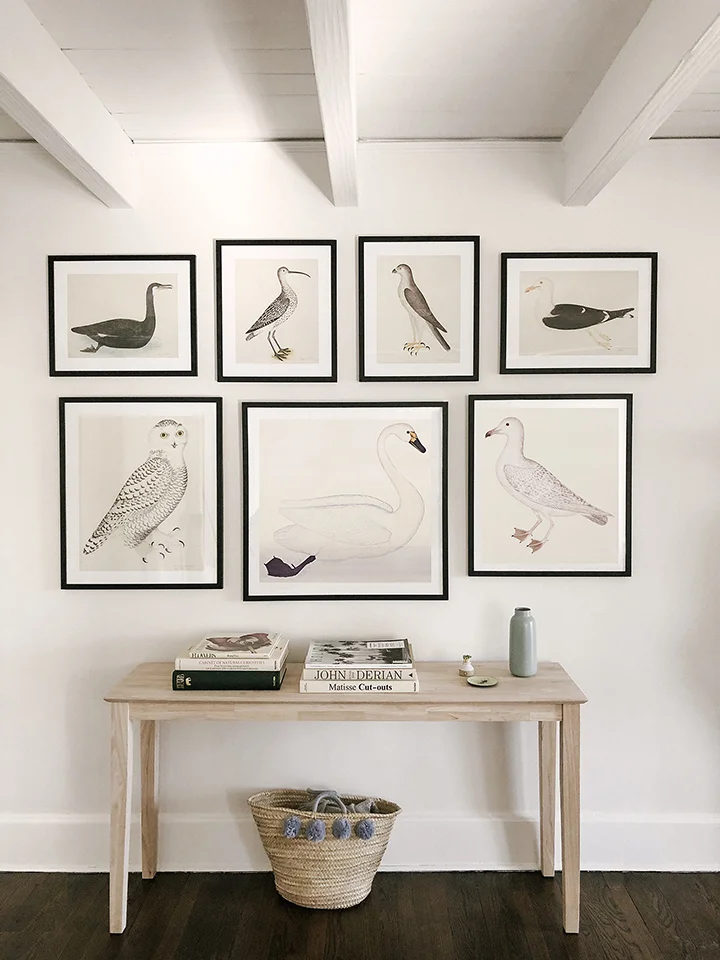 Swedish Bird Prints by Olof Rudbeck — MUSEUM OUTLETS