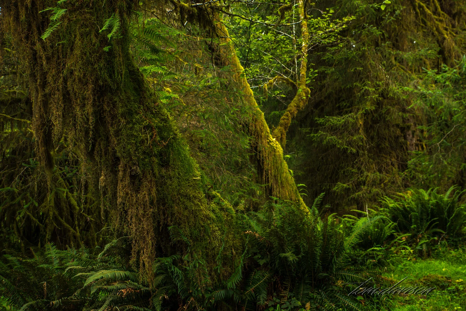 trips blog — PhotoSpydie