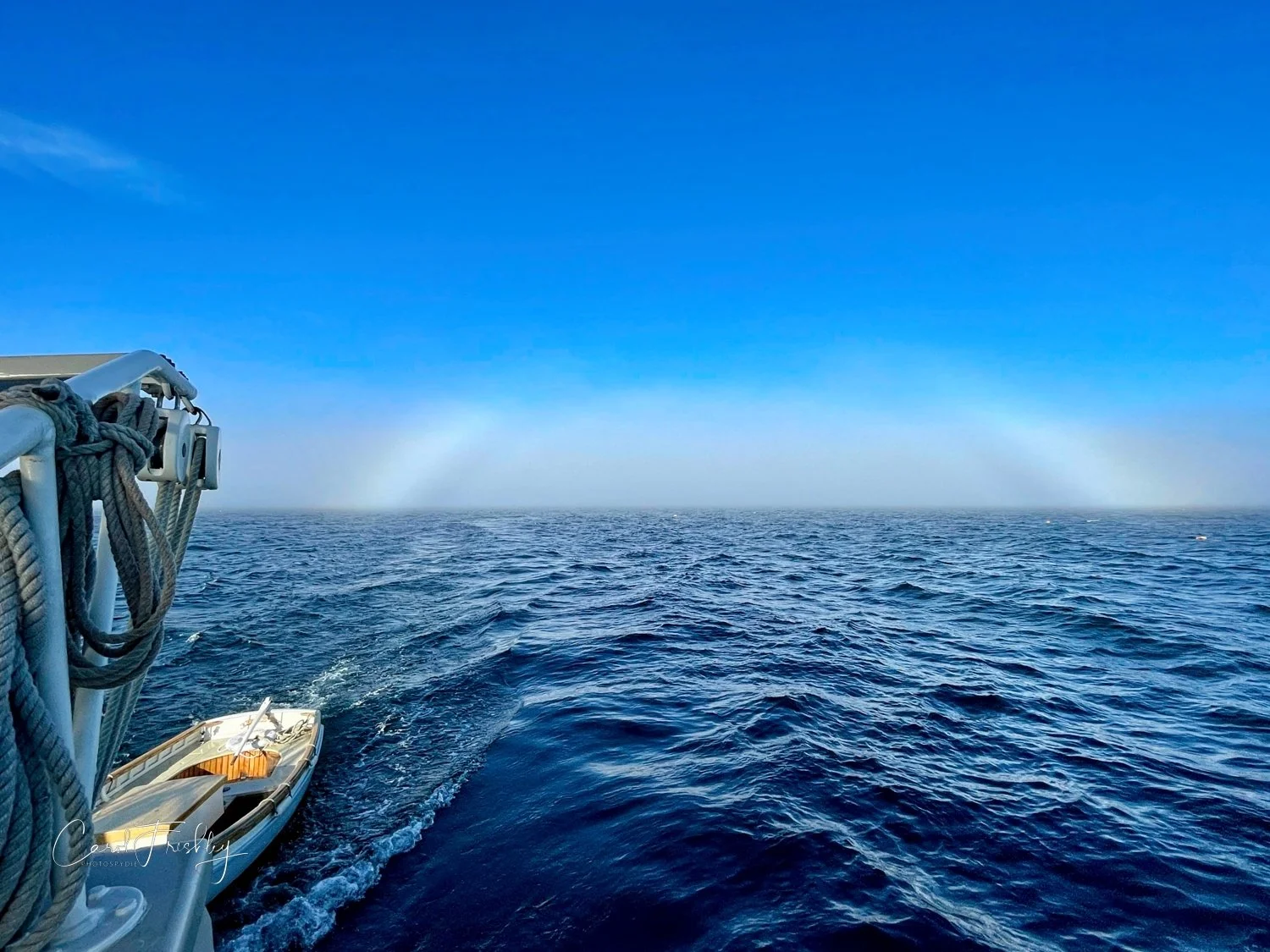 blog — PhotoSpydie