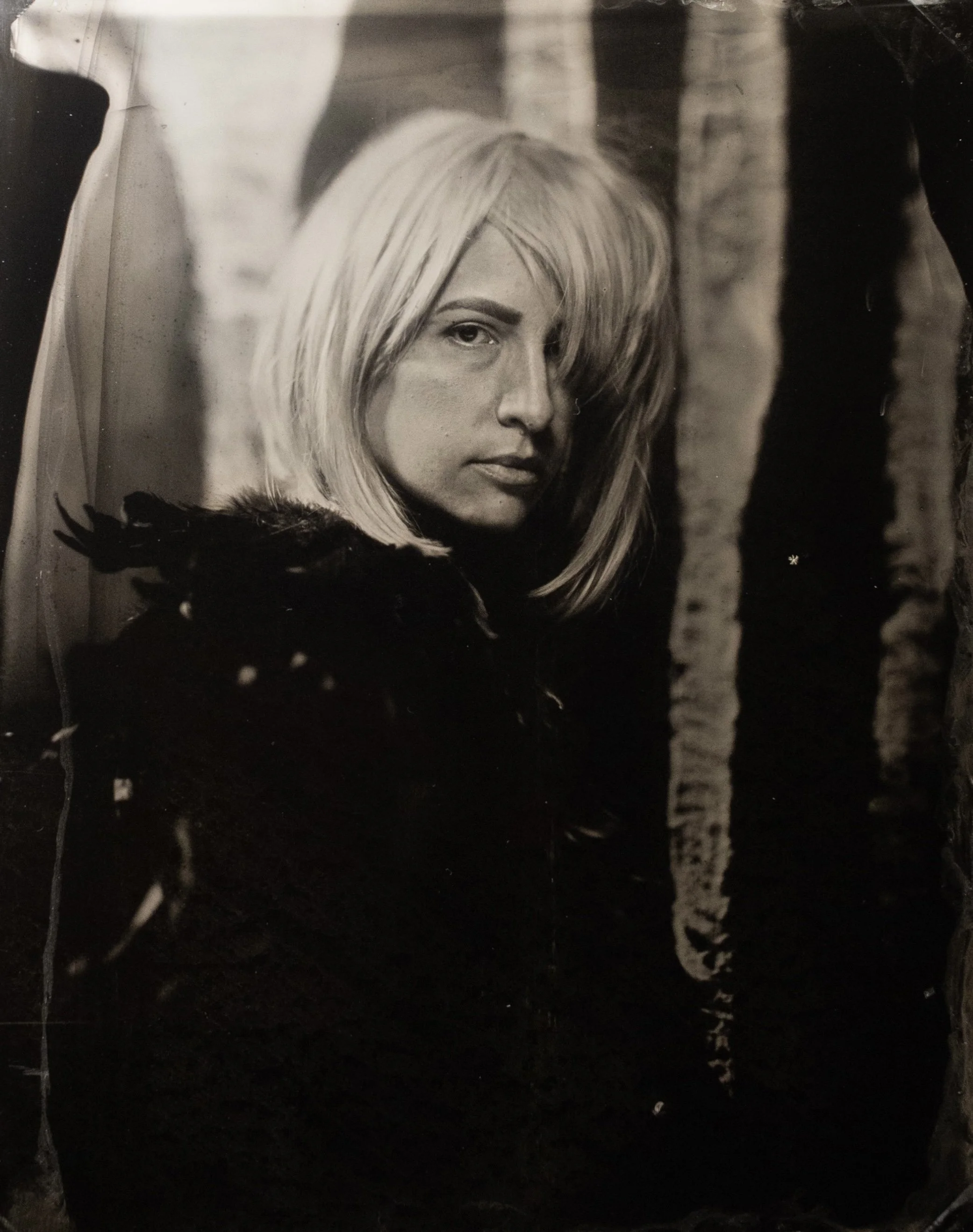 David Norbut Photography