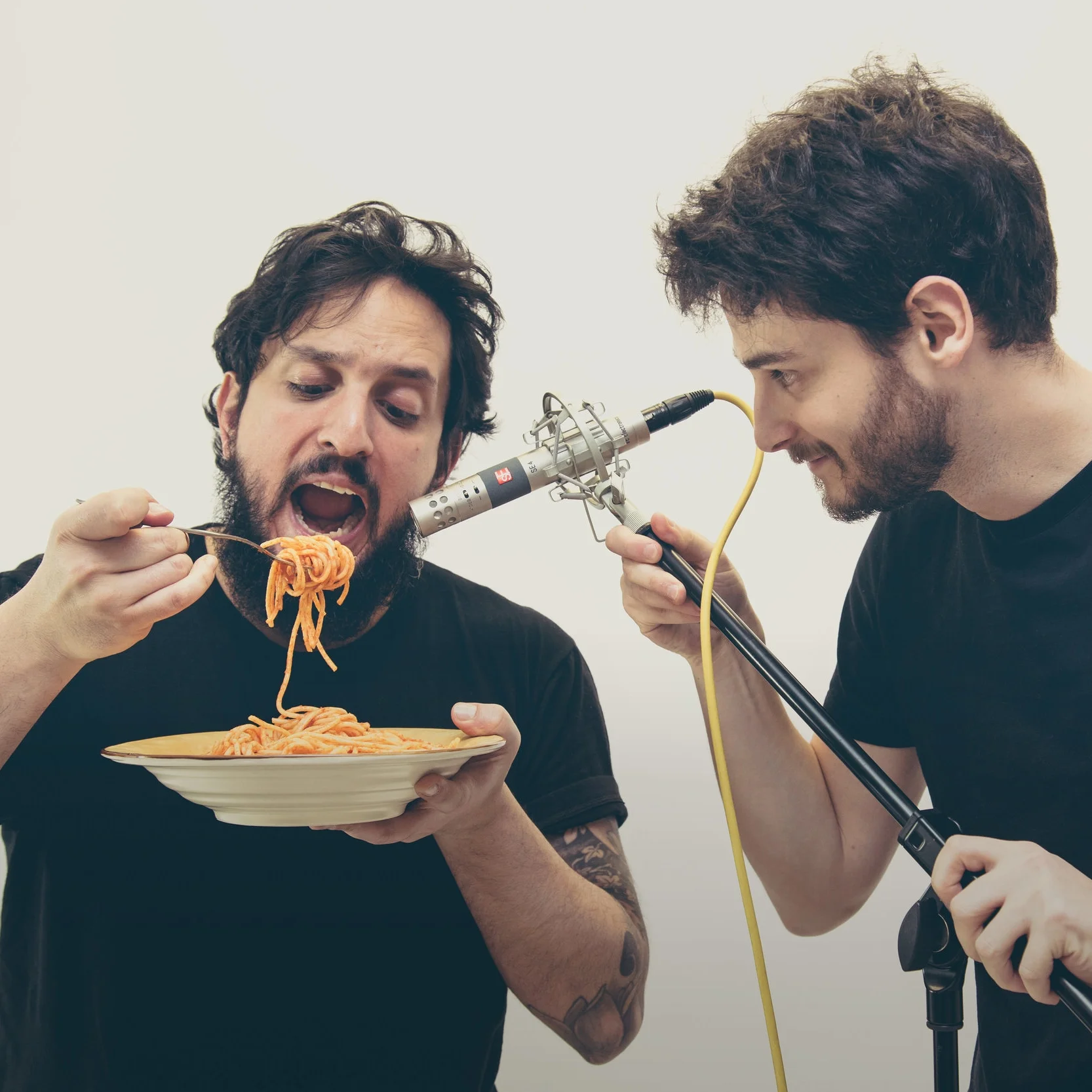 sE Electronics - sE Artists