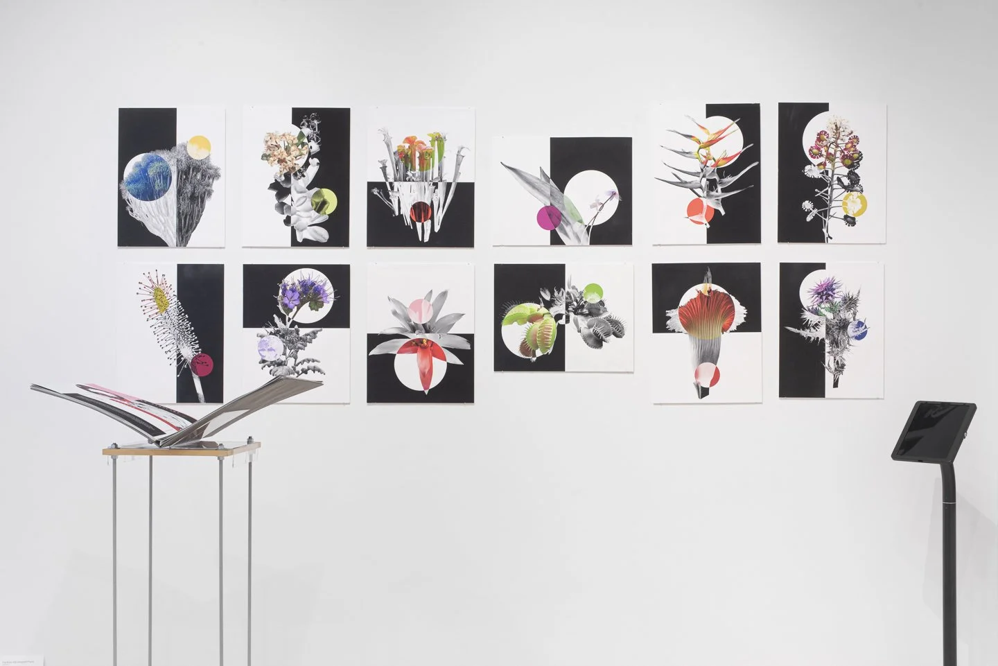 2. The Book of Endangered Plants — Evan Bailey