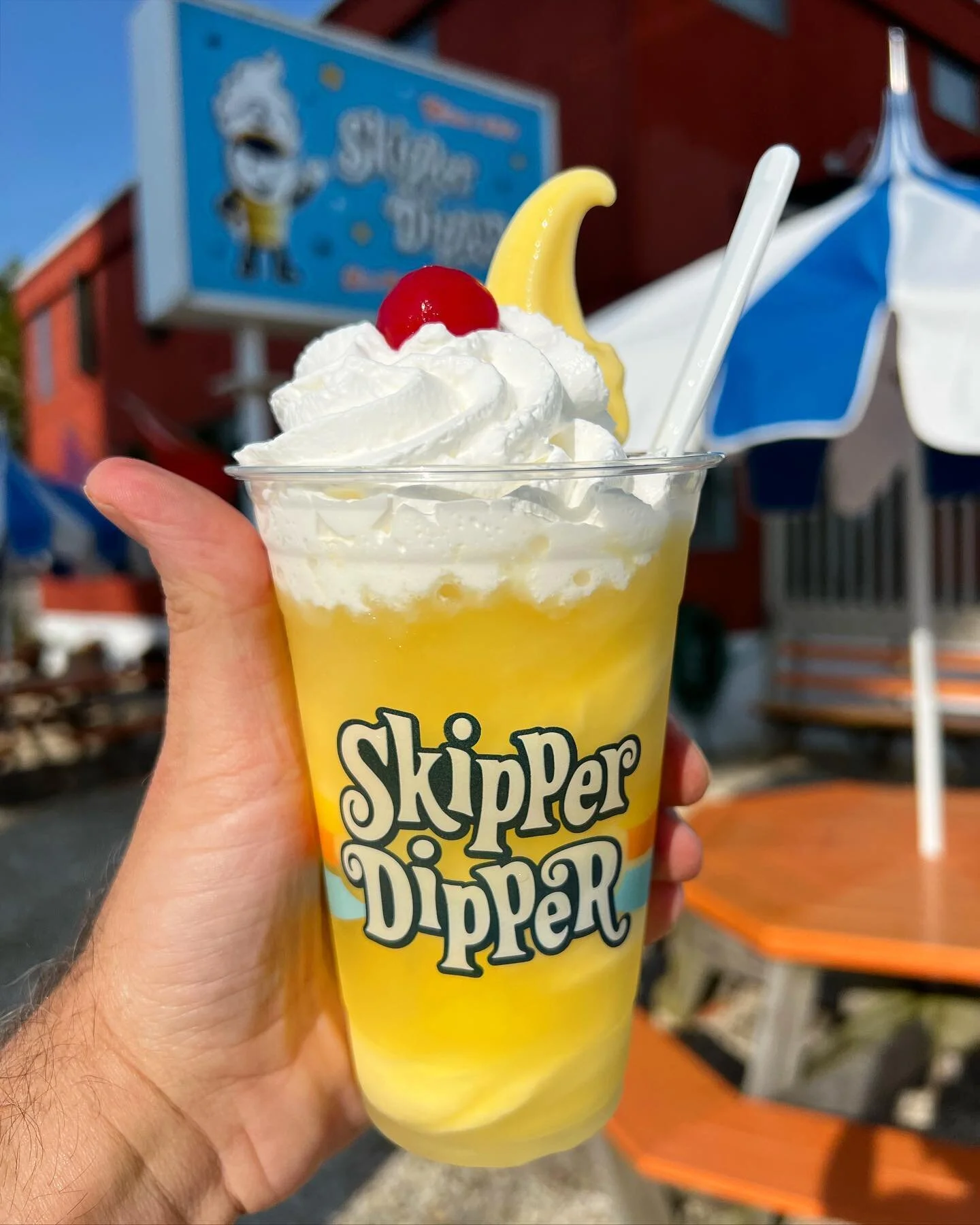 Skipper Dipper Ice Cream