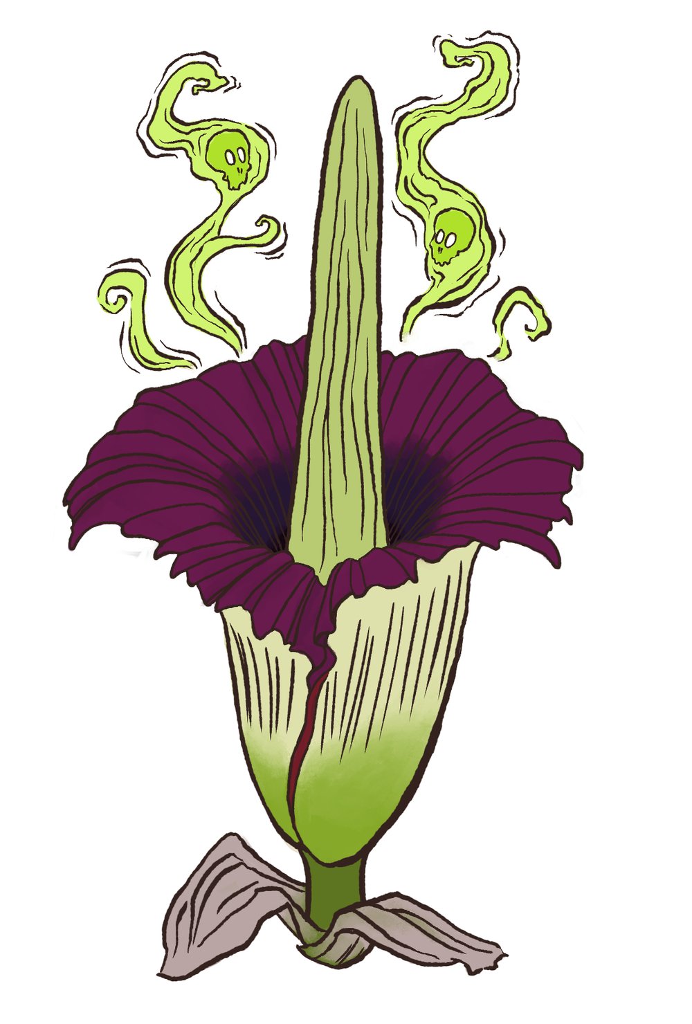 Corpse Flowers — Lysandra Nelson