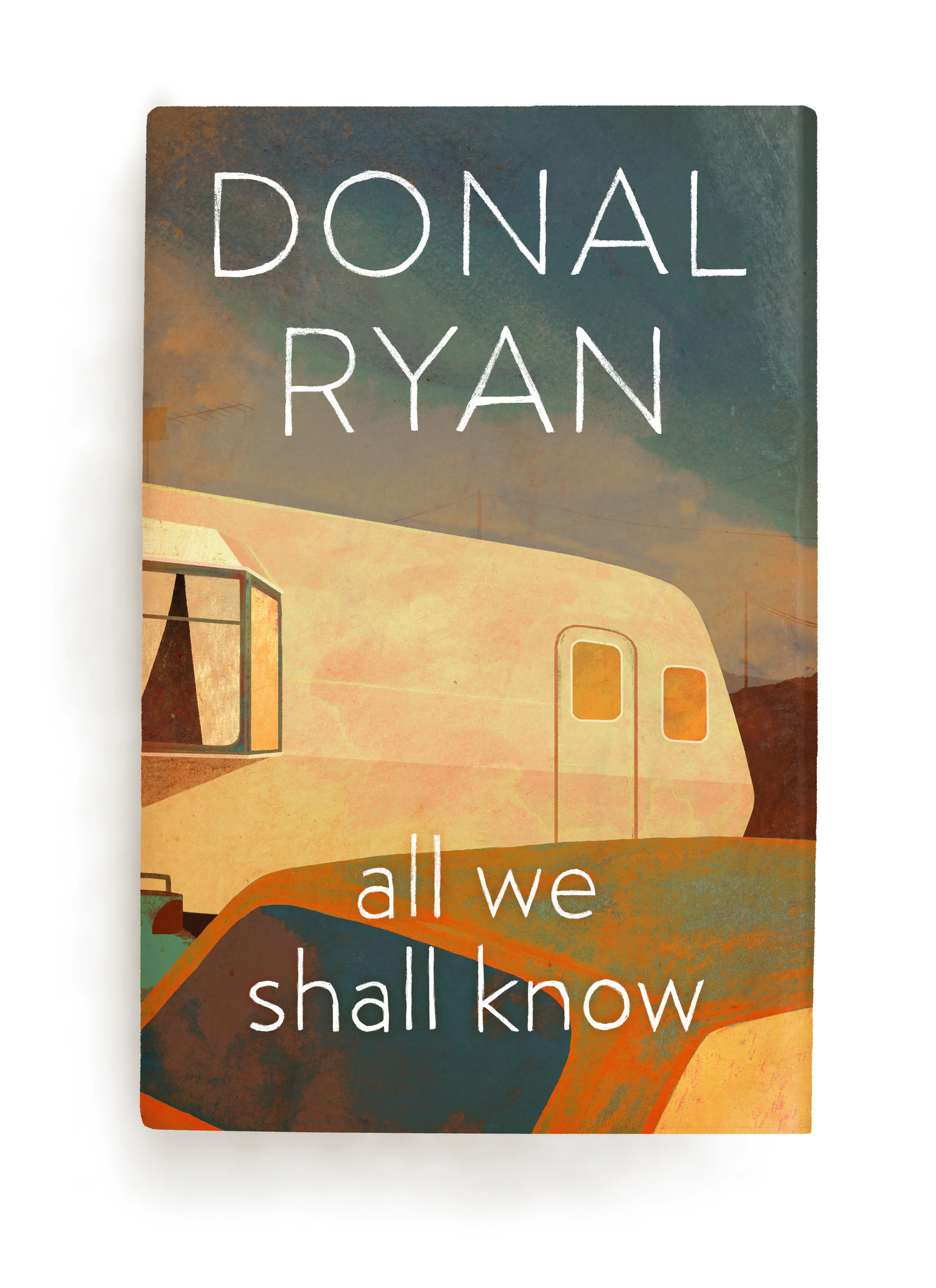 Donal Ryan Quotes