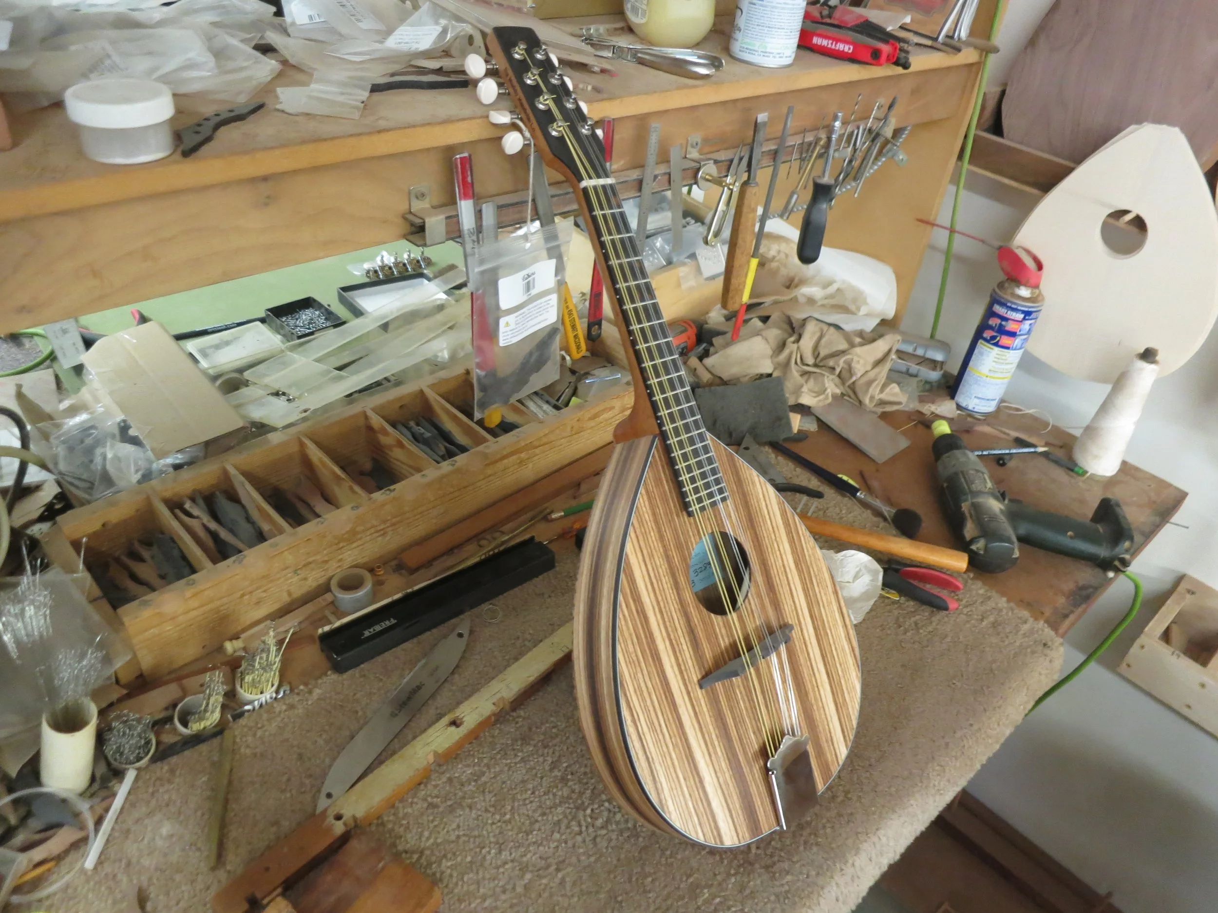 Builder's Choice — Big Muddy Mandolin