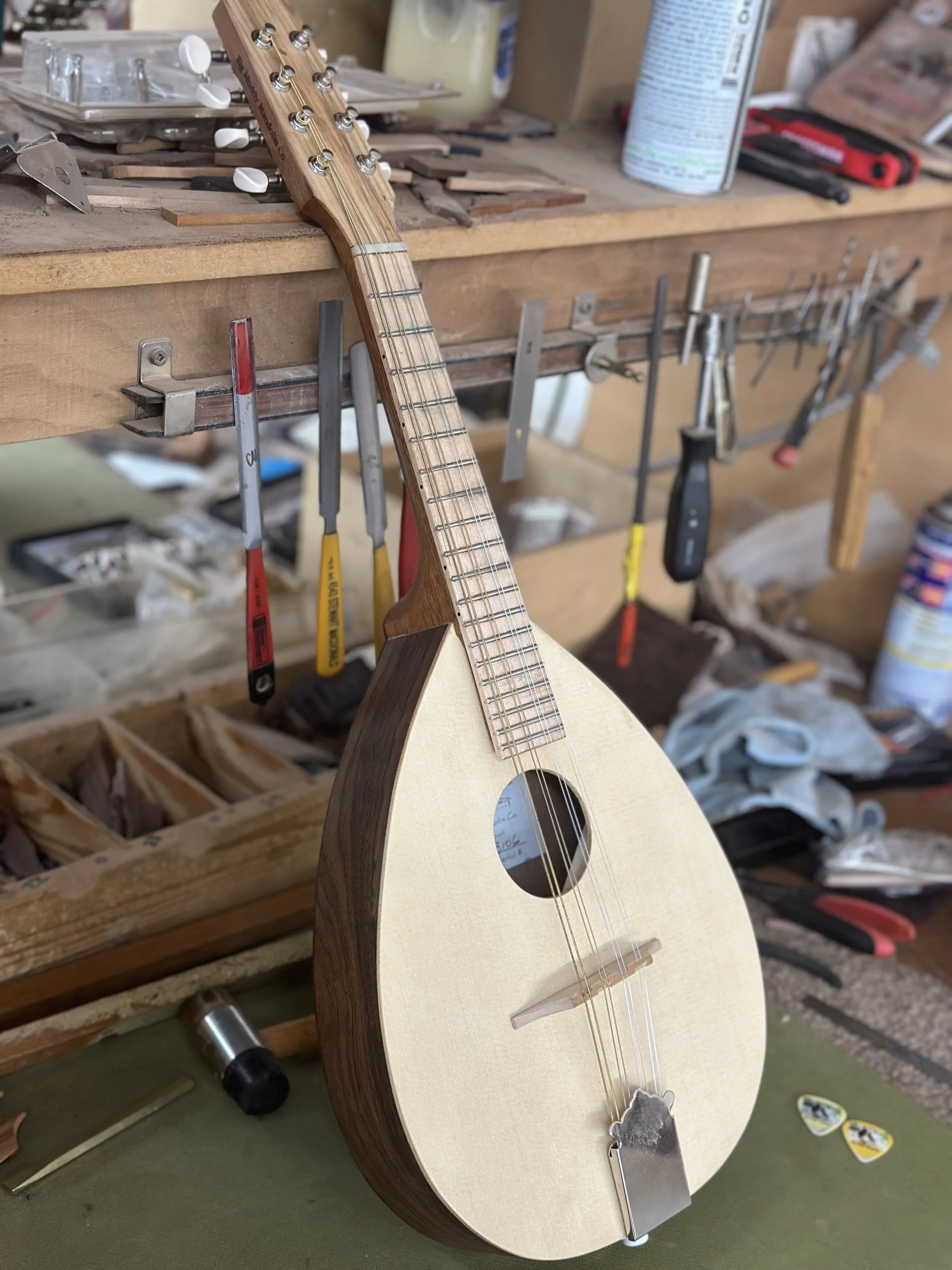 MW-O P.C. Wide — Big Muddy Mandolin