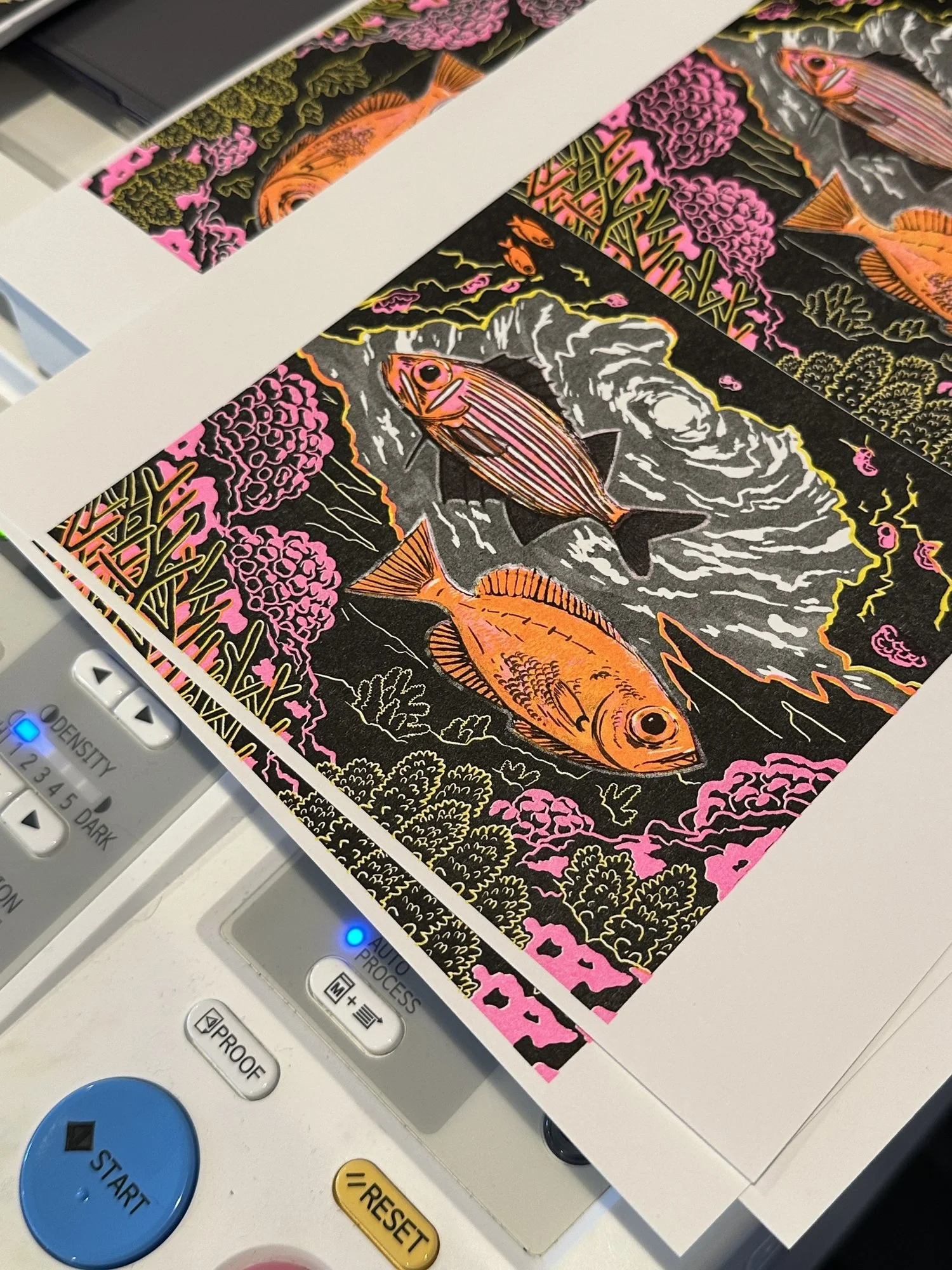 Risography Digital Tools with Pencil Urchin Press — Honolulu Printmakers