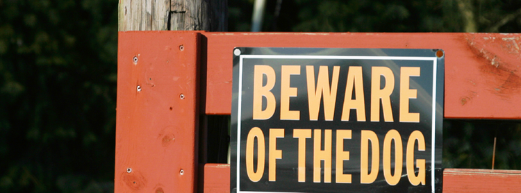 6 Types of Dog Bites | USA Dog Behavior, LLC