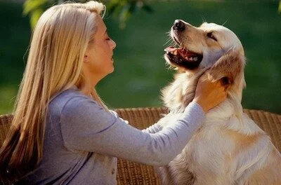 Why Do Humans and Dogs Get Along So Well? | USA Dog Behavior, LLC