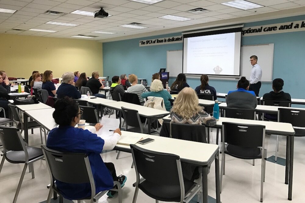 About Dog Behaviorist Scott Sheaffer | Dallas, TX | USA Dog Behavior, LLC