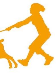 USA Dog Behavior, LLC | Scott Sheaffer Dog Behavior Consultant