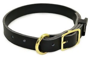 What Is the Best Dog Collar to Stop Pulling? | USA Dog Behavior, LLC